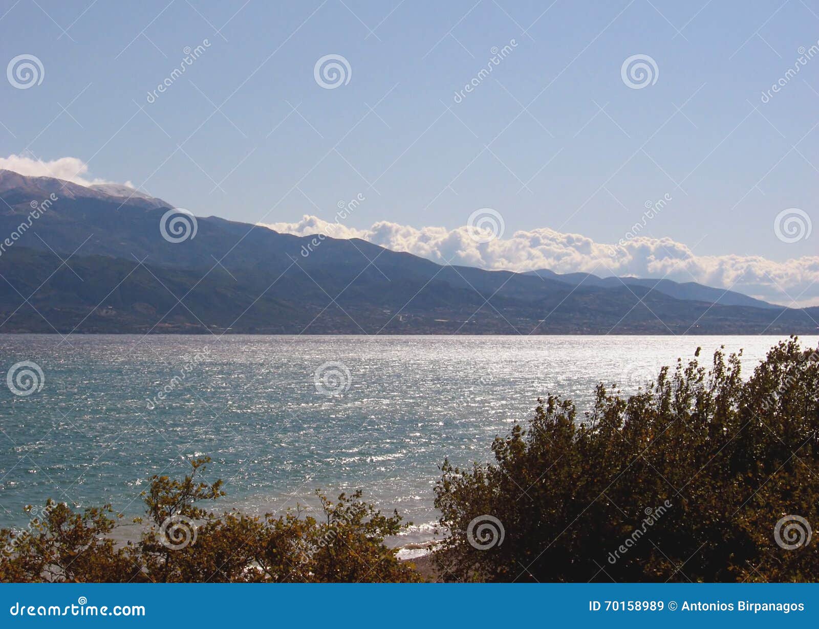 Trees sea and mountain 2 stock image. Image of sunlight - 70158989