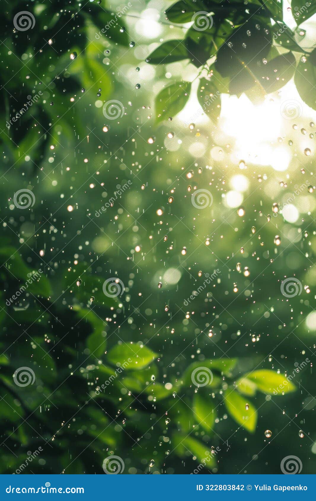Trees Seen through Rain-Soaked Window Stock Photo - Image of distorted ...