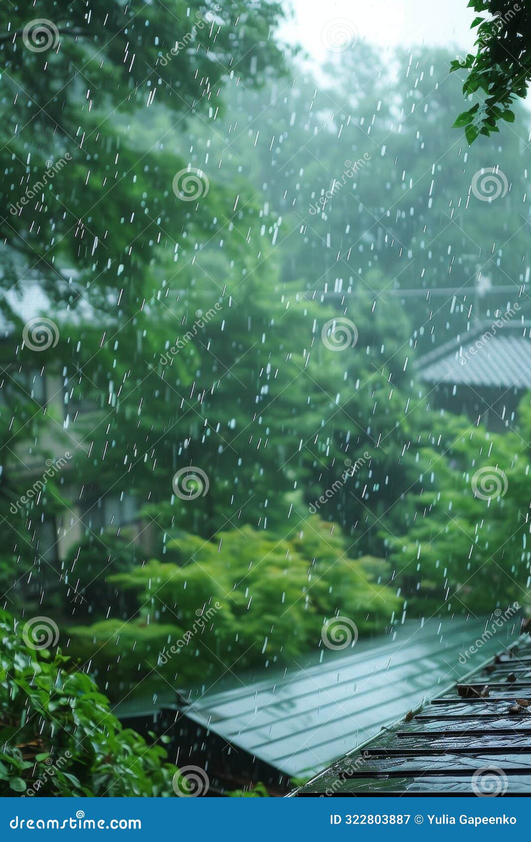 Trees Seen through Rain-Soaked Window Stock Image - Image of ...