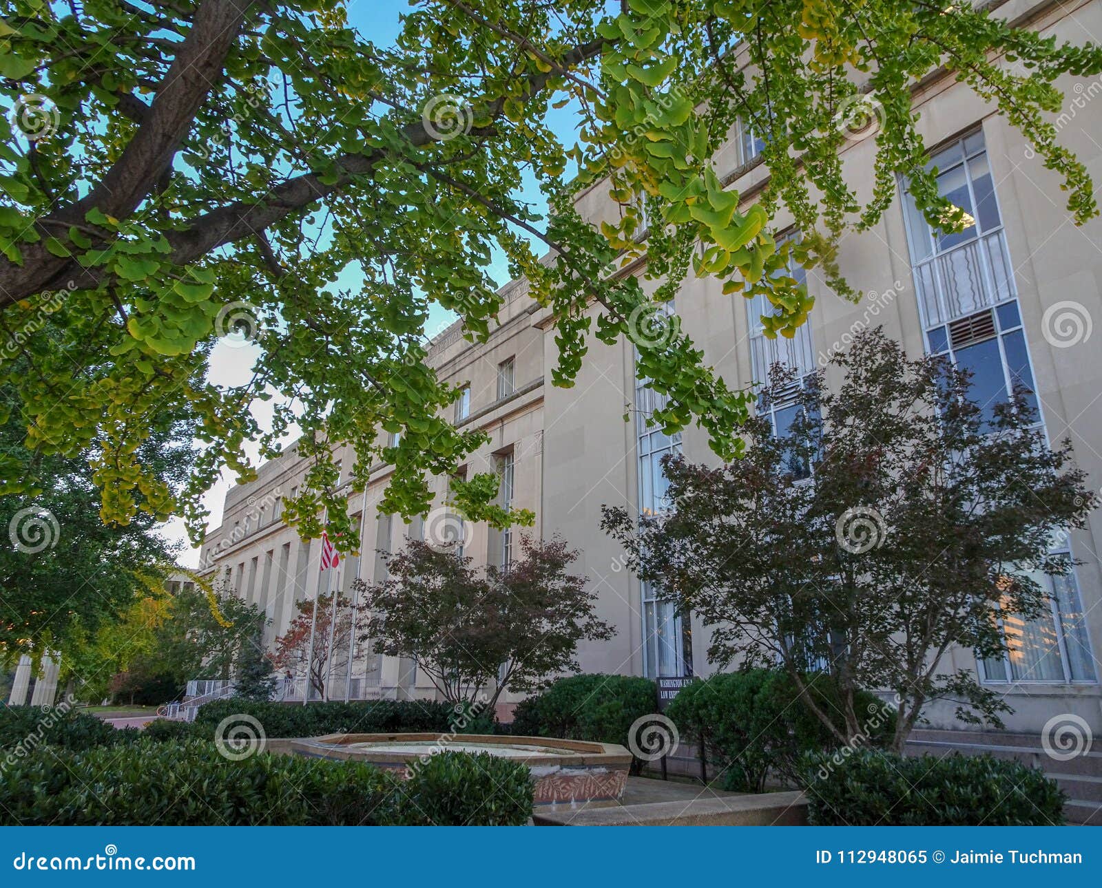 Trees and a White Office Building Stock Image - Image of environment ...