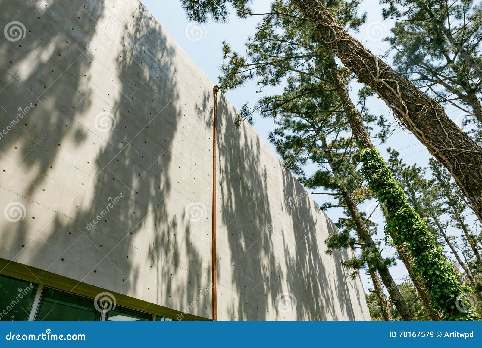 Trees Shadow Cast on Concrete Building Stock Image - Image of outdoors ...
