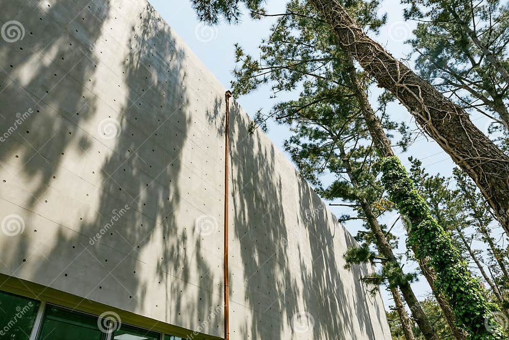 Trees Shadow Cast on Concrete Building Stock Image - Image of outdoors ...