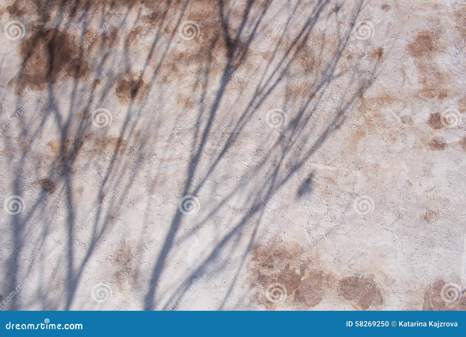 Trees Shadows on the Wall stock photo. Image of textured - 58269250
