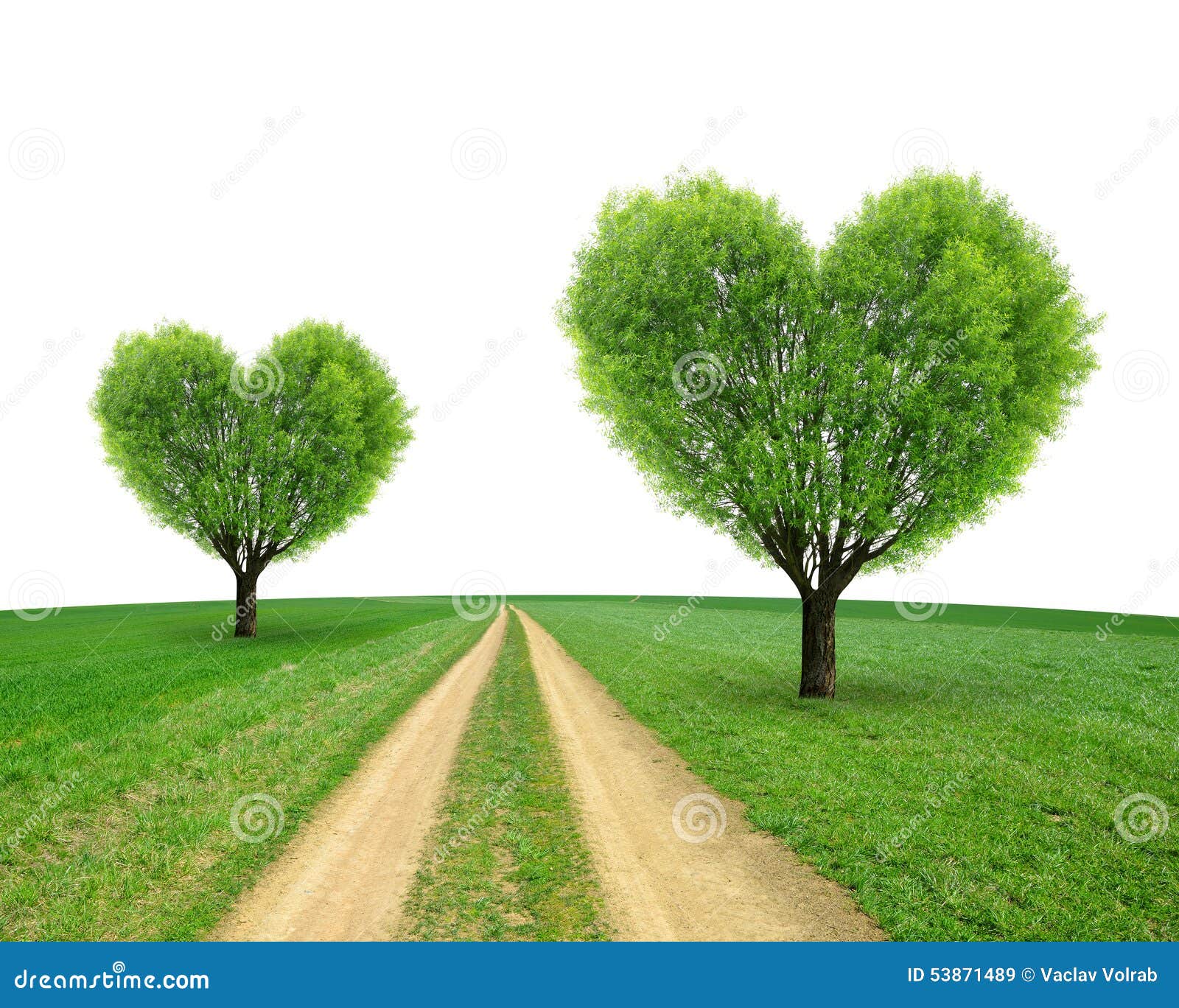 Trees in the shape heart stock image. Image of land, natural - 53871489