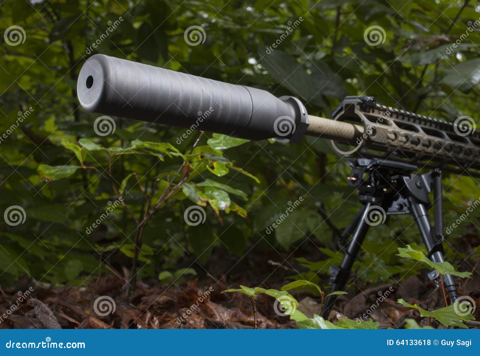 From the trees stock photo. Image of trees, scope, camouflage - 64133618