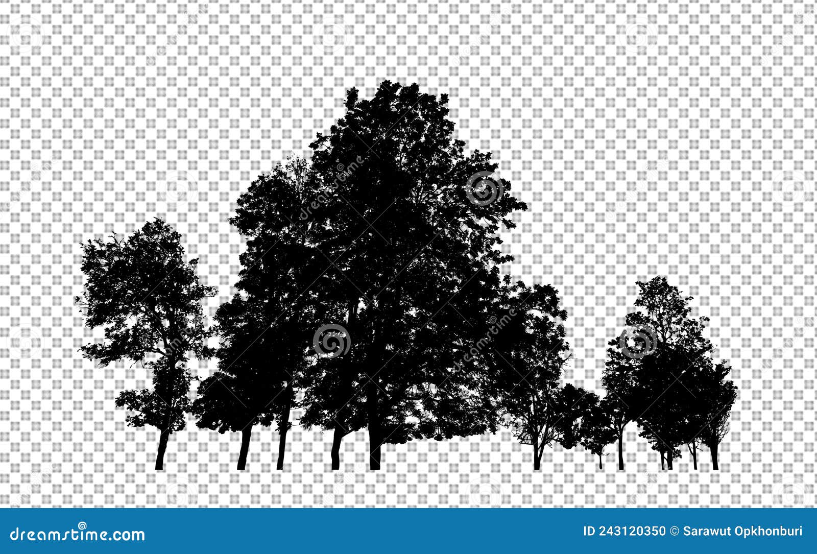 Tree Silhouettes Isolated on White Background . Stock Photo - Image of ...