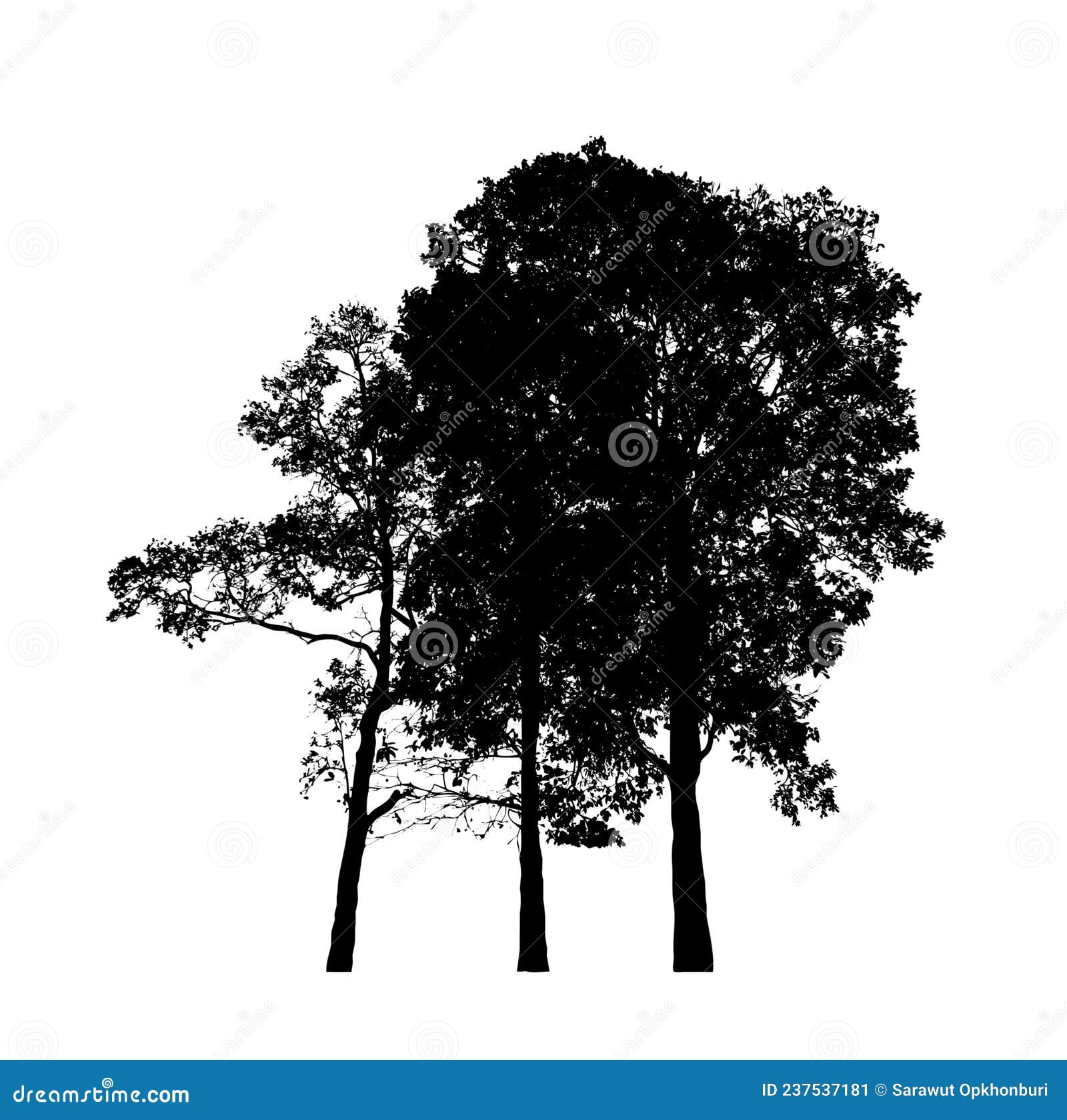 Trees Silhouettes Isolated on White Background . Stock Image - Image of ...