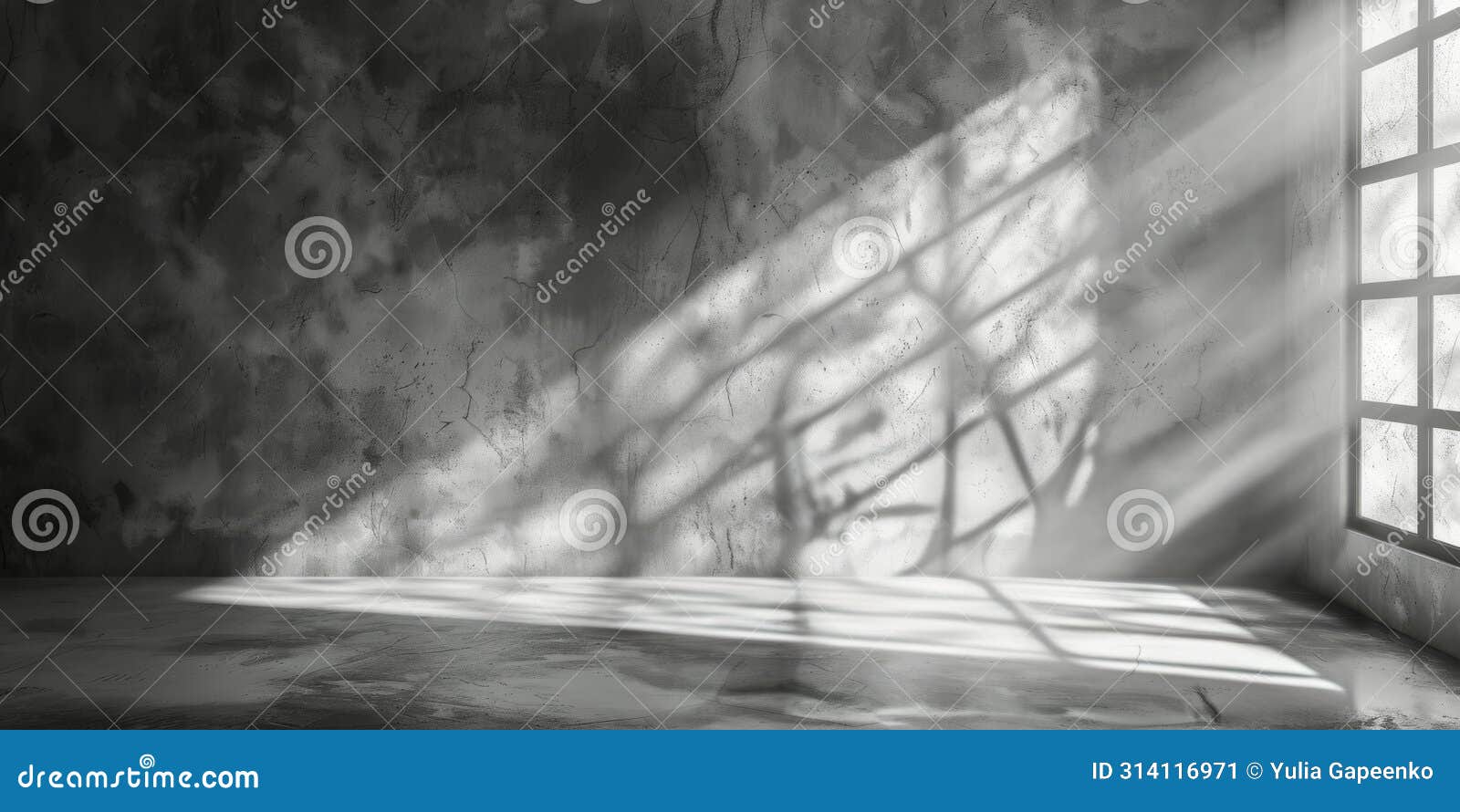 Tree Casts Shadow on Wall stock image. Image of display - 314116971