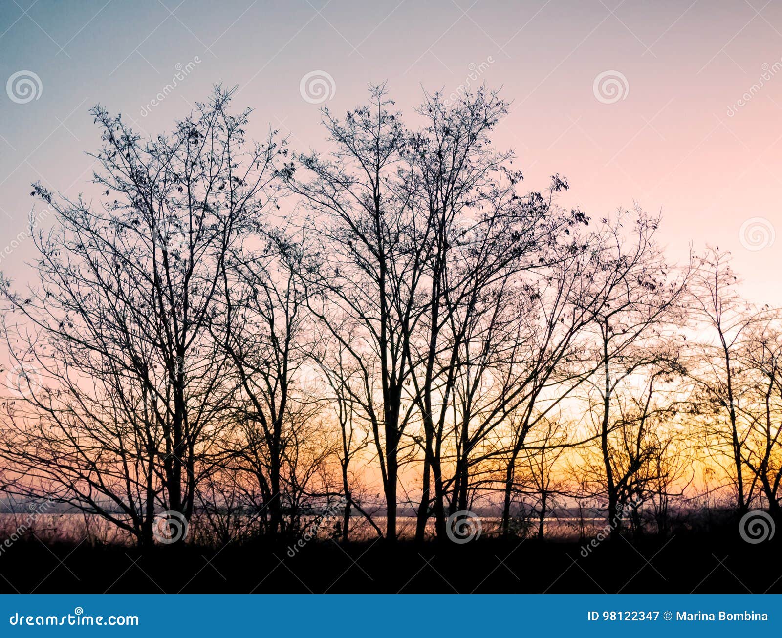 Trees Silhouette at Sunset Nature Background Stock Image - Image of ...