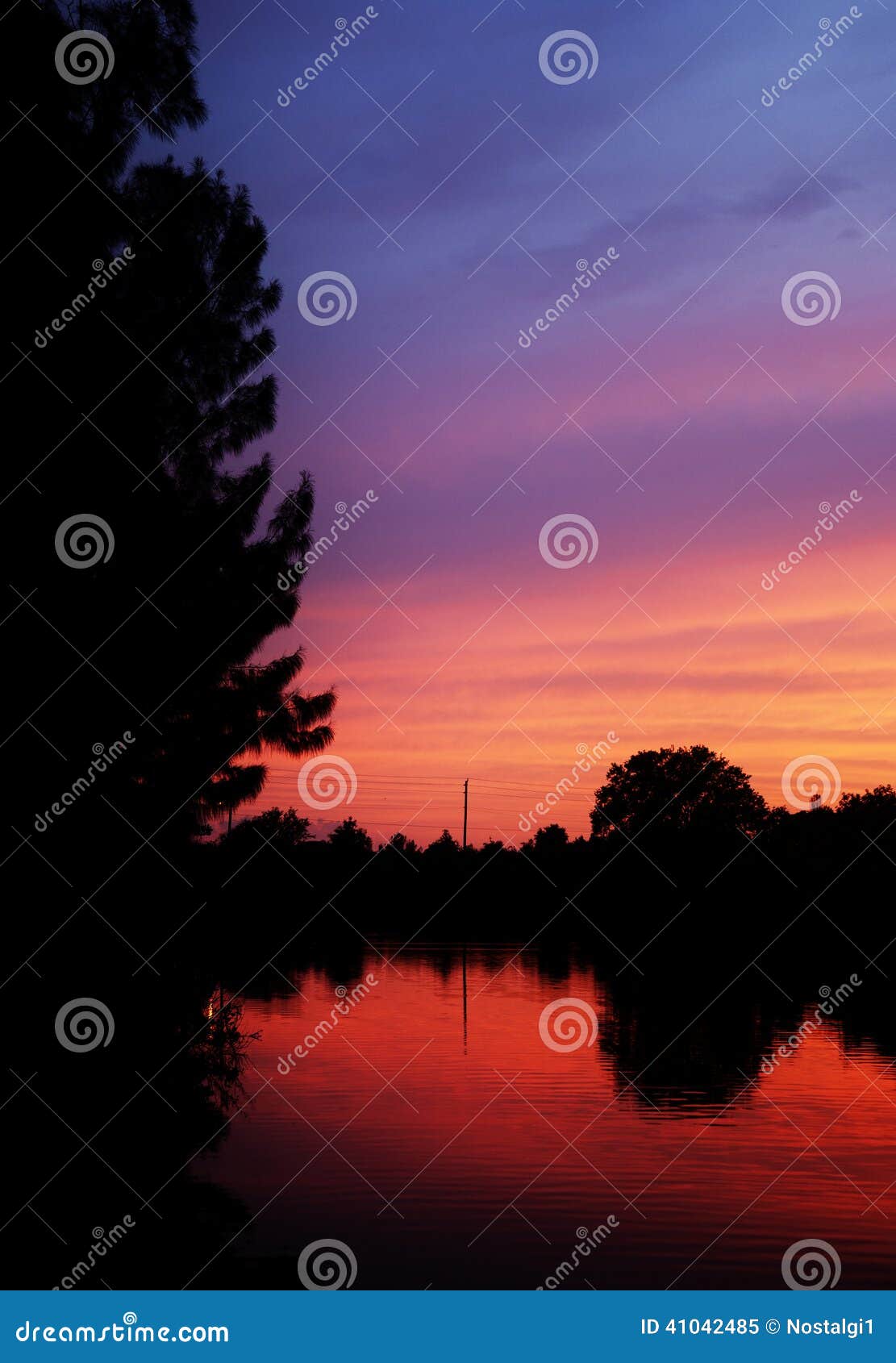 Trees Silhouetted Against the Sunset Stock Image - Image of scenics ...