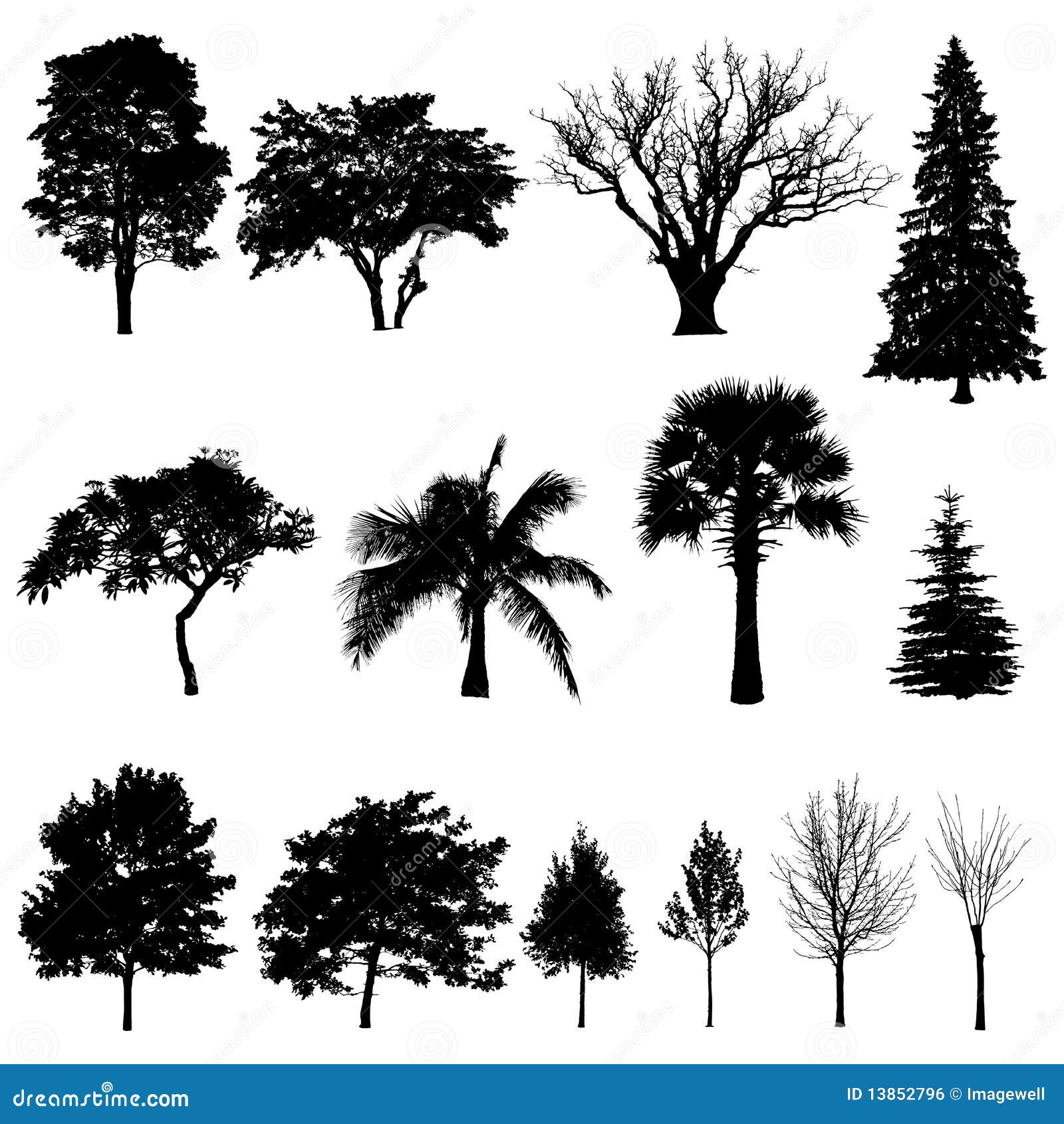 Trees_silhouettes stock vector. Illustration of forest - 13852796