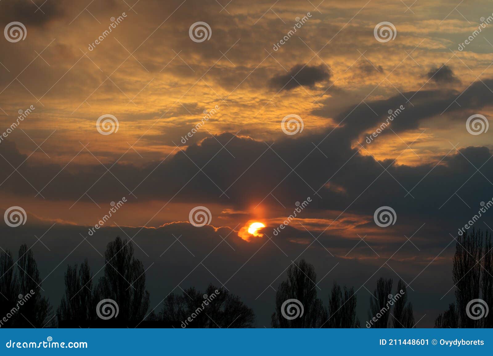 Trees Silhouettes Sunset Background. Sunset Trees Silhouettes Stock ...