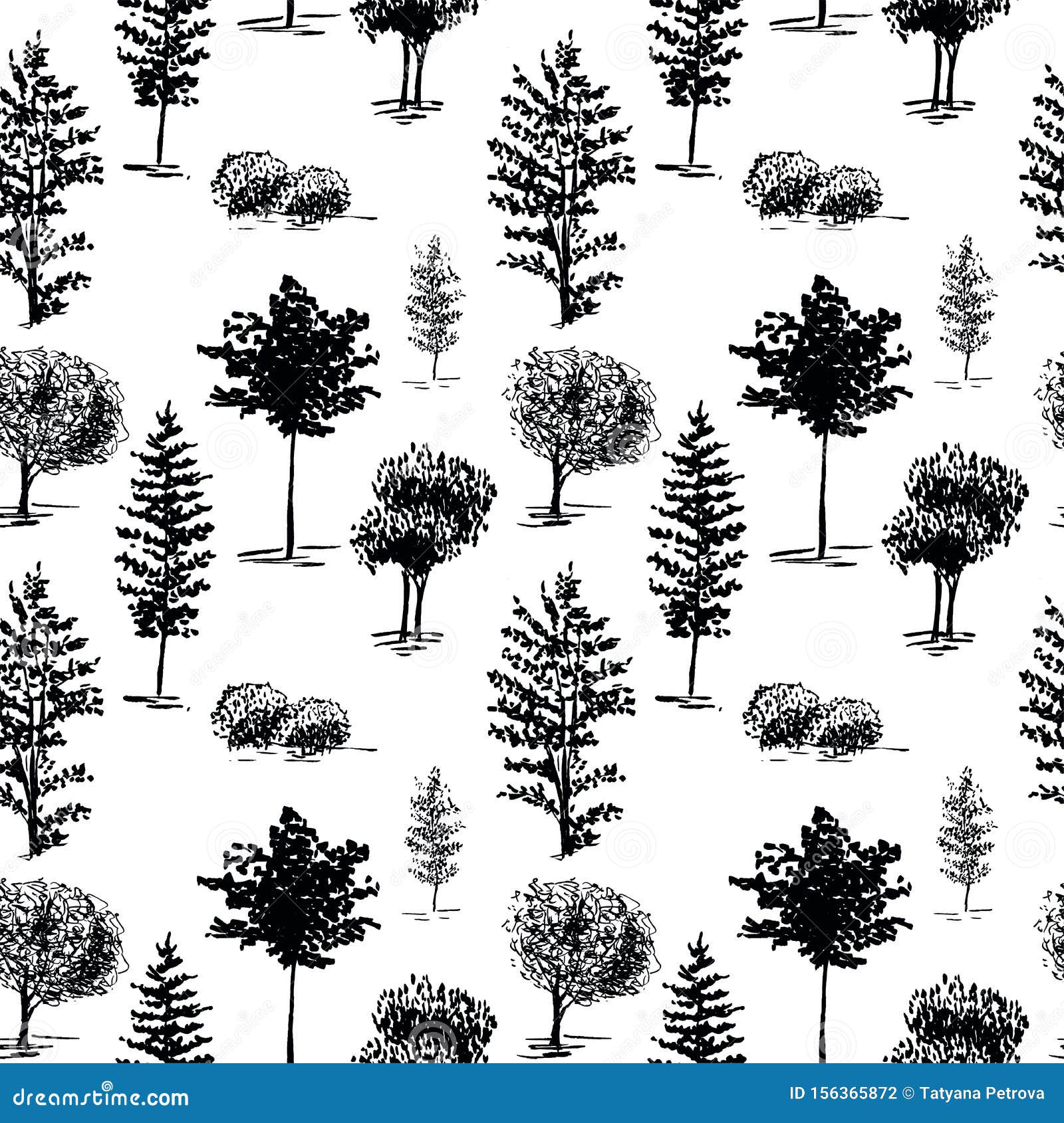 Trees, Sketch Pattern. Hand Painted Black Trees on White Background ...