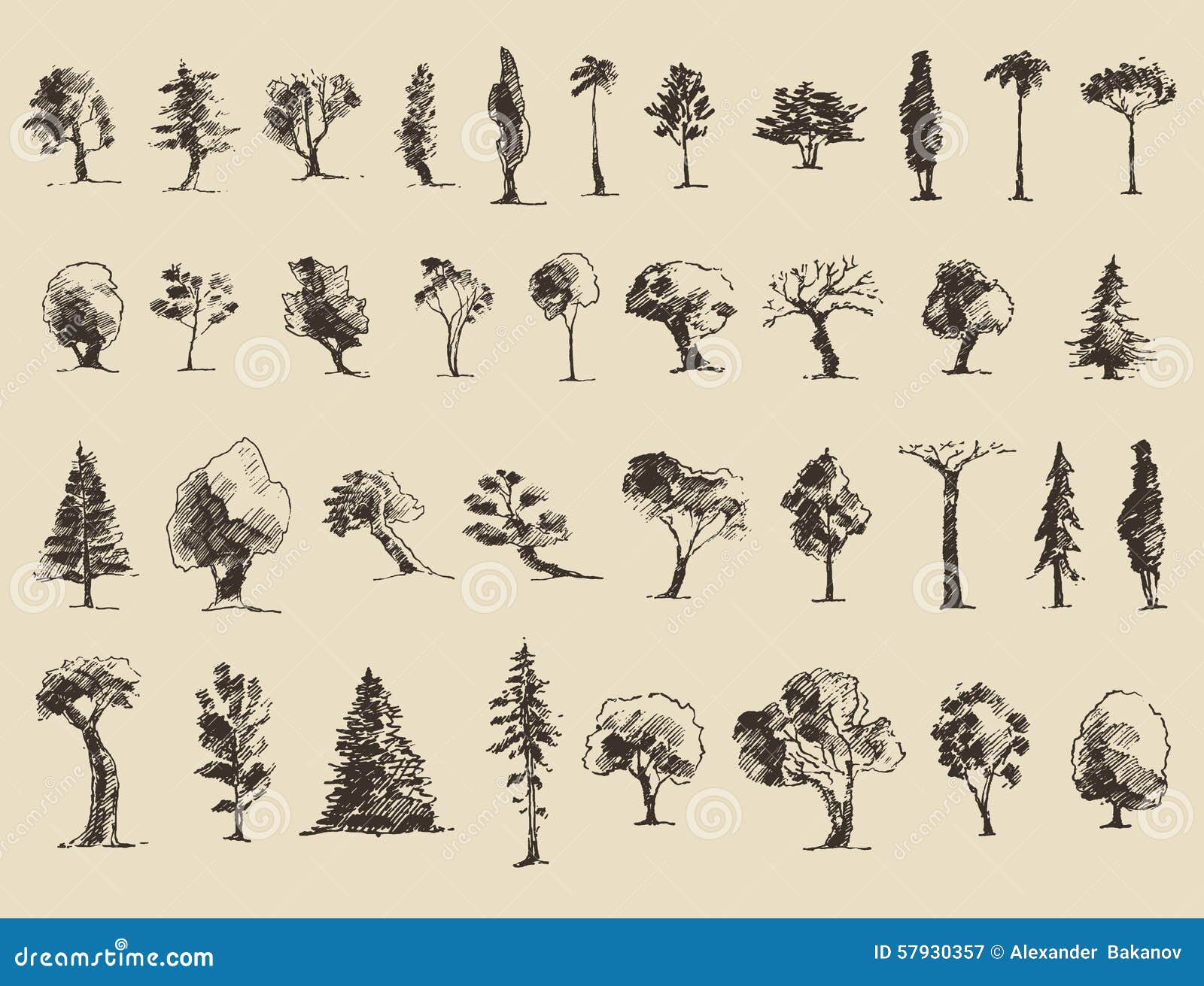Trees Sketch Set, Vintage Vector Style, Hand Drawn Stock Vector ...