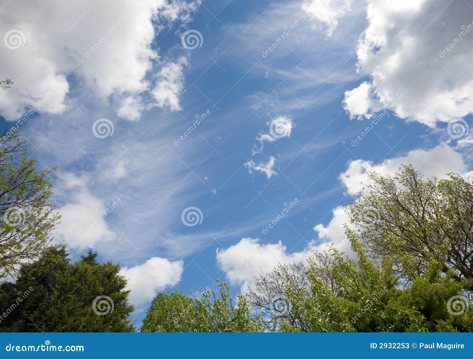 Trees and sky stock image. Image of earth, clouds, fluffy - 2932253
