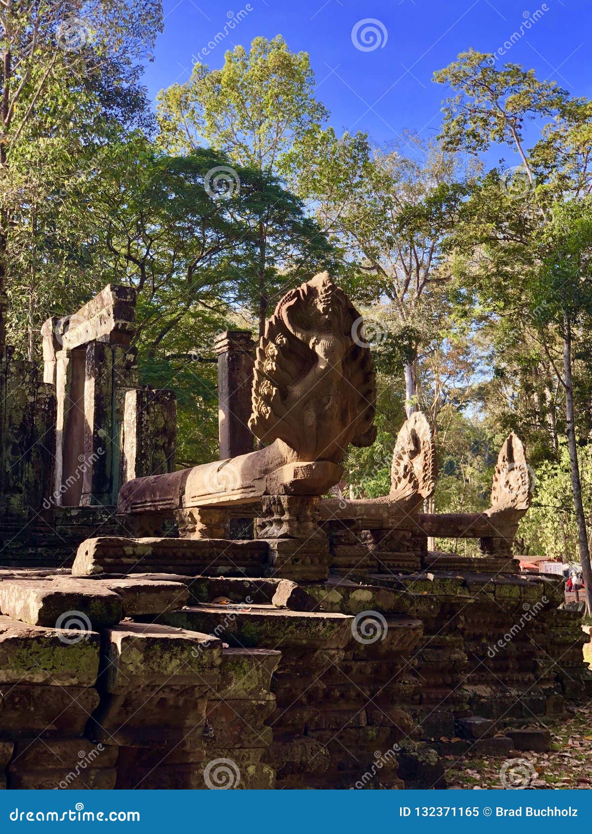 Seven Headed Snake Guardian Stock Image - Image of headed, clouds ...