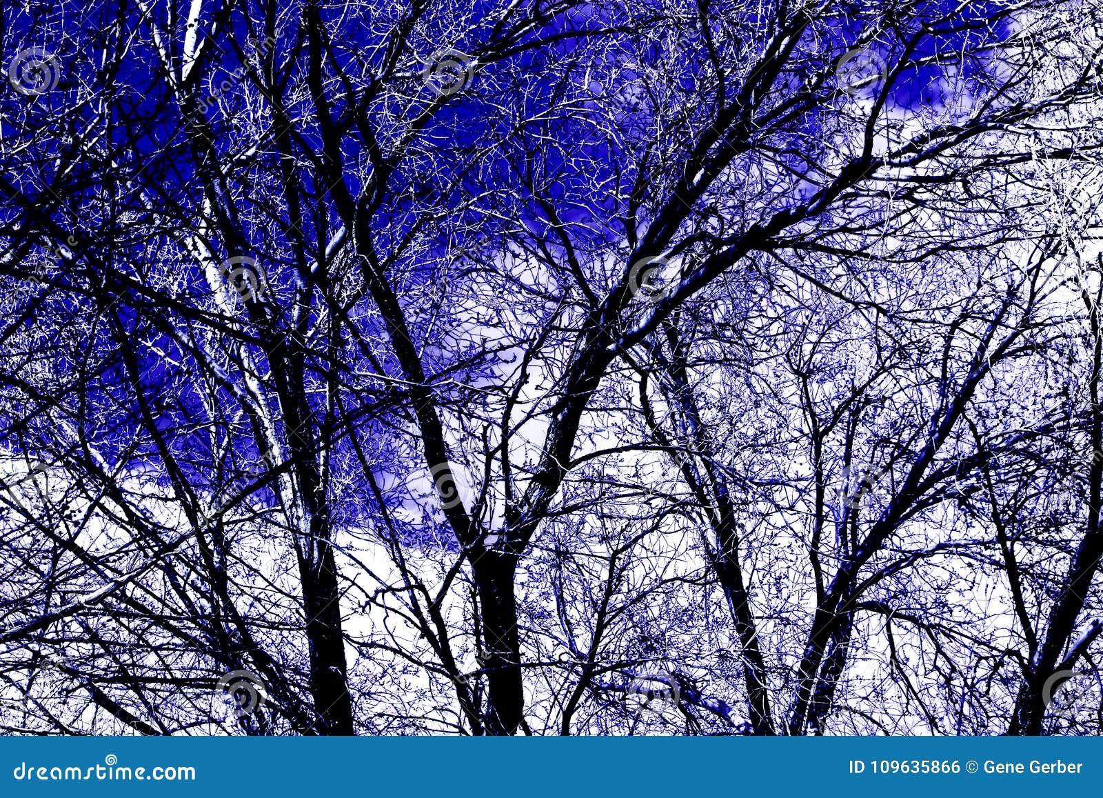 A Cold Looking Scene stock photo. Image of limbs, clouds - 109635866