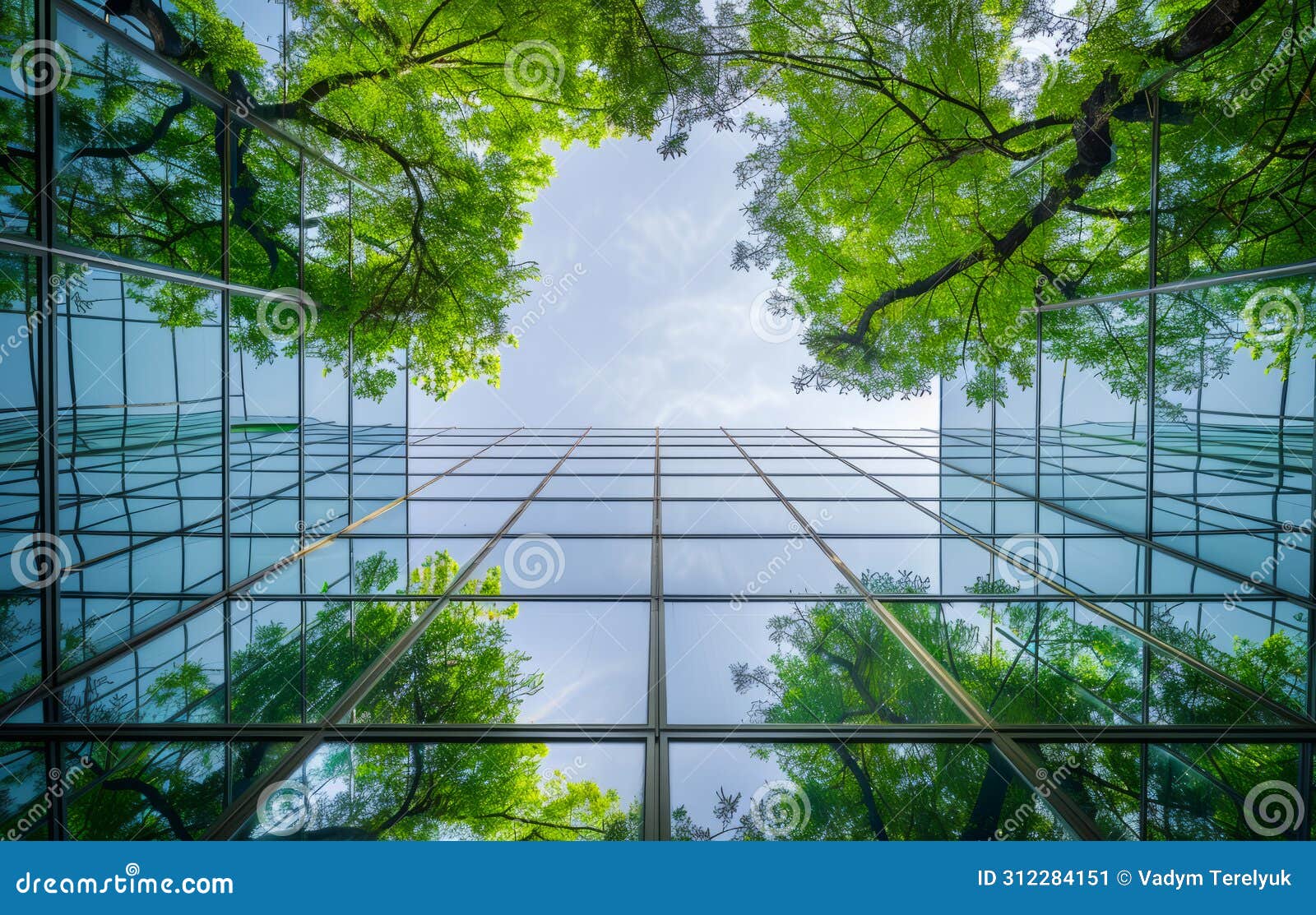 Trees and Sky Reflecting in the Glass Wall of Modern Building Stock ...