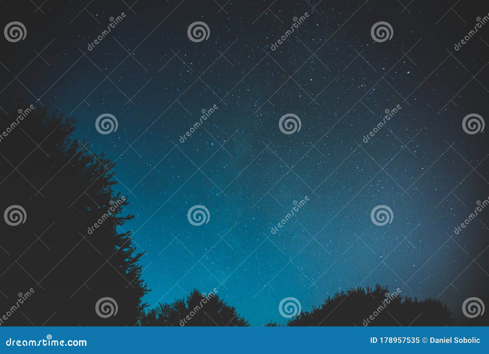 Trees Sky and stars stock image. Image of canada, nature - 178957535