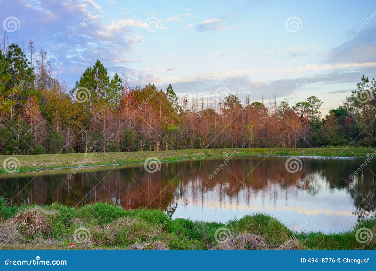 Trees and a Small Pond Form Perfect Reflection at Sunset Stock Photo ...