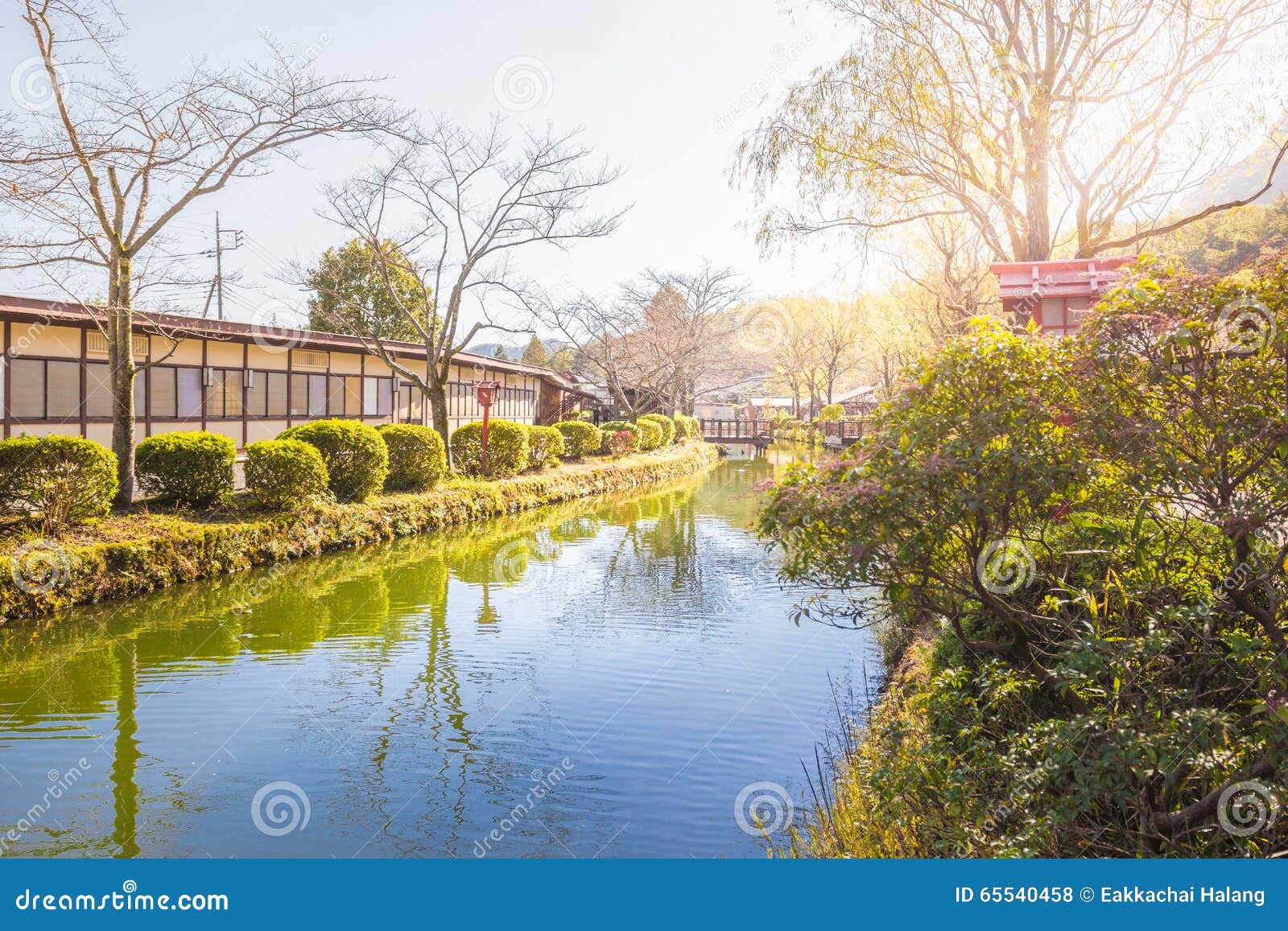 Trees and Small River Grass Field in the Park Stock Photo - Image of ...