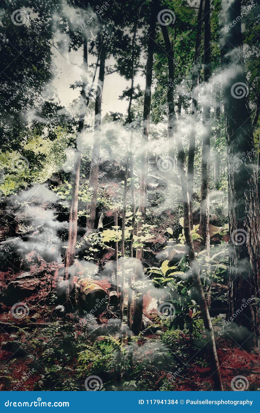 Fake smoke stock photo. Image of smoke, trees, fake - 117941384