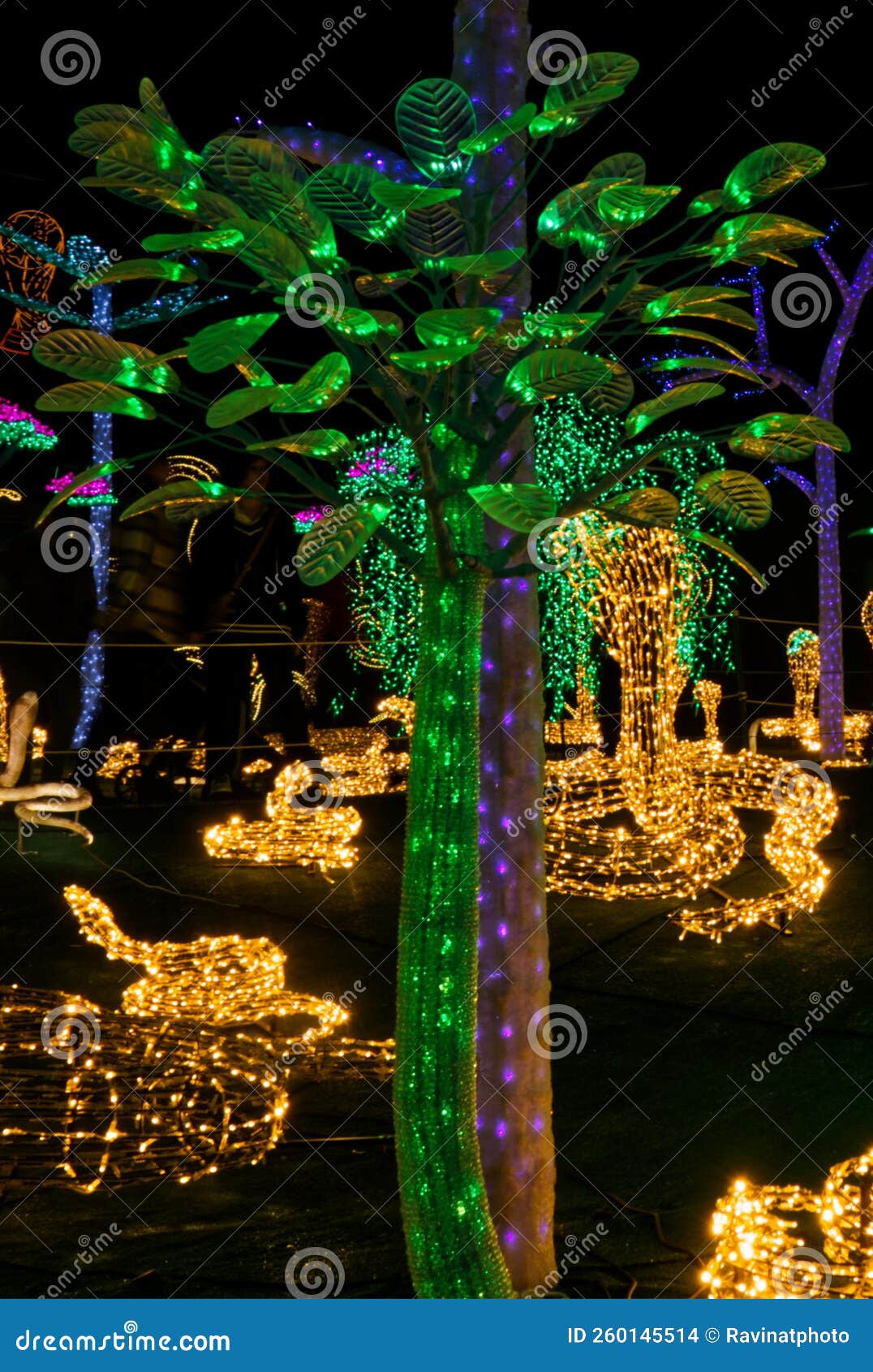 Trees and Snakes at Night - Modern Light Show Stock Photo - Image of ...