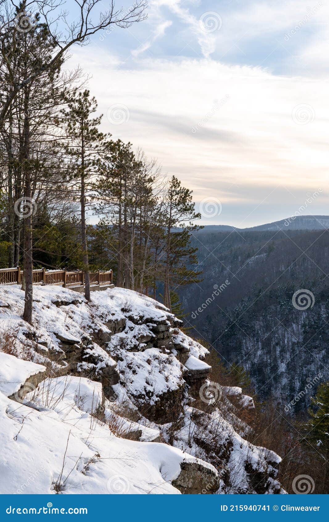 Trees on a Snow Covered Hillside Stock Image - Image of valley, weather ...