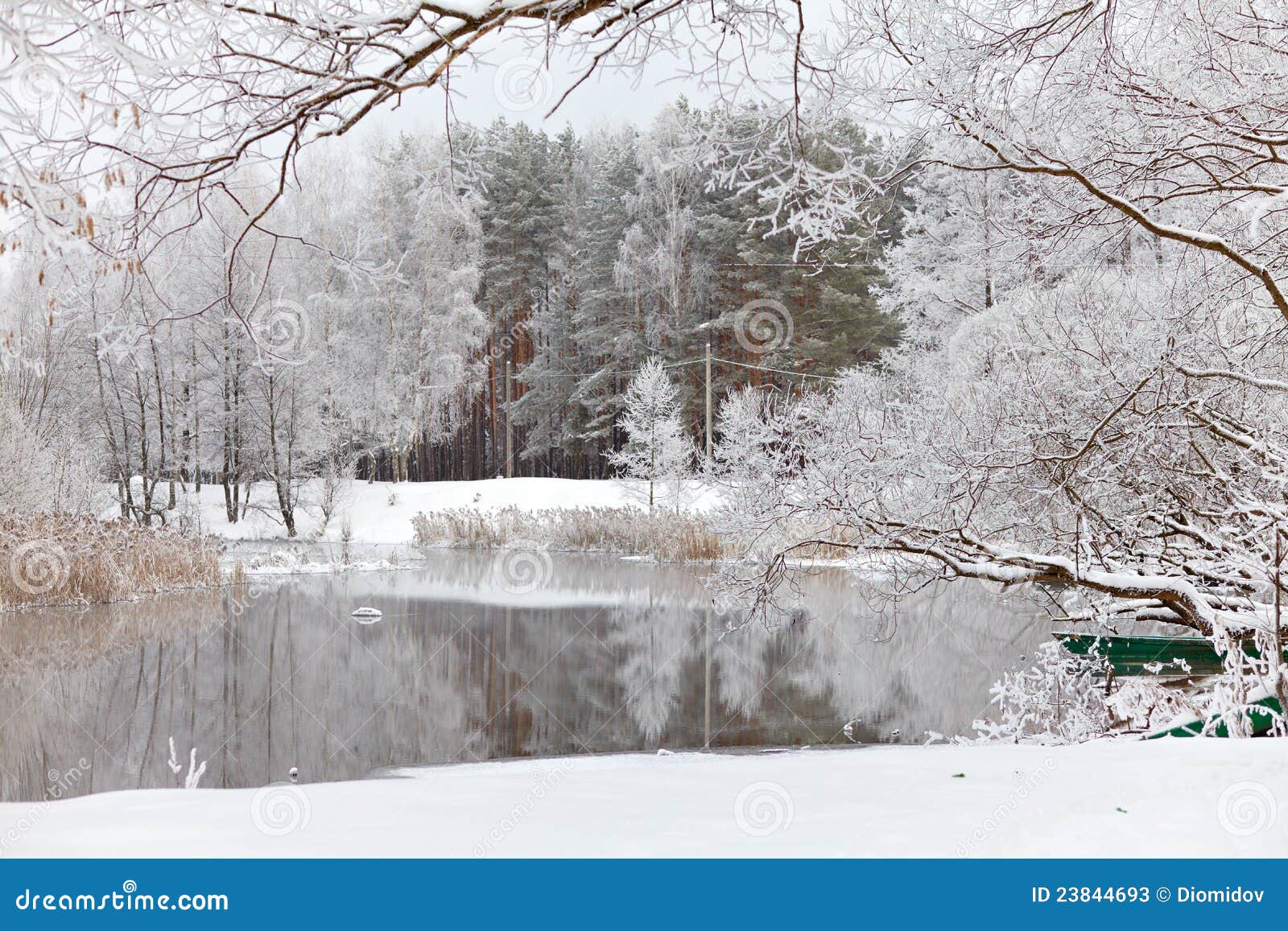 Trees in Snow and the Lake January Stock Image - Image of freeze, lily ...