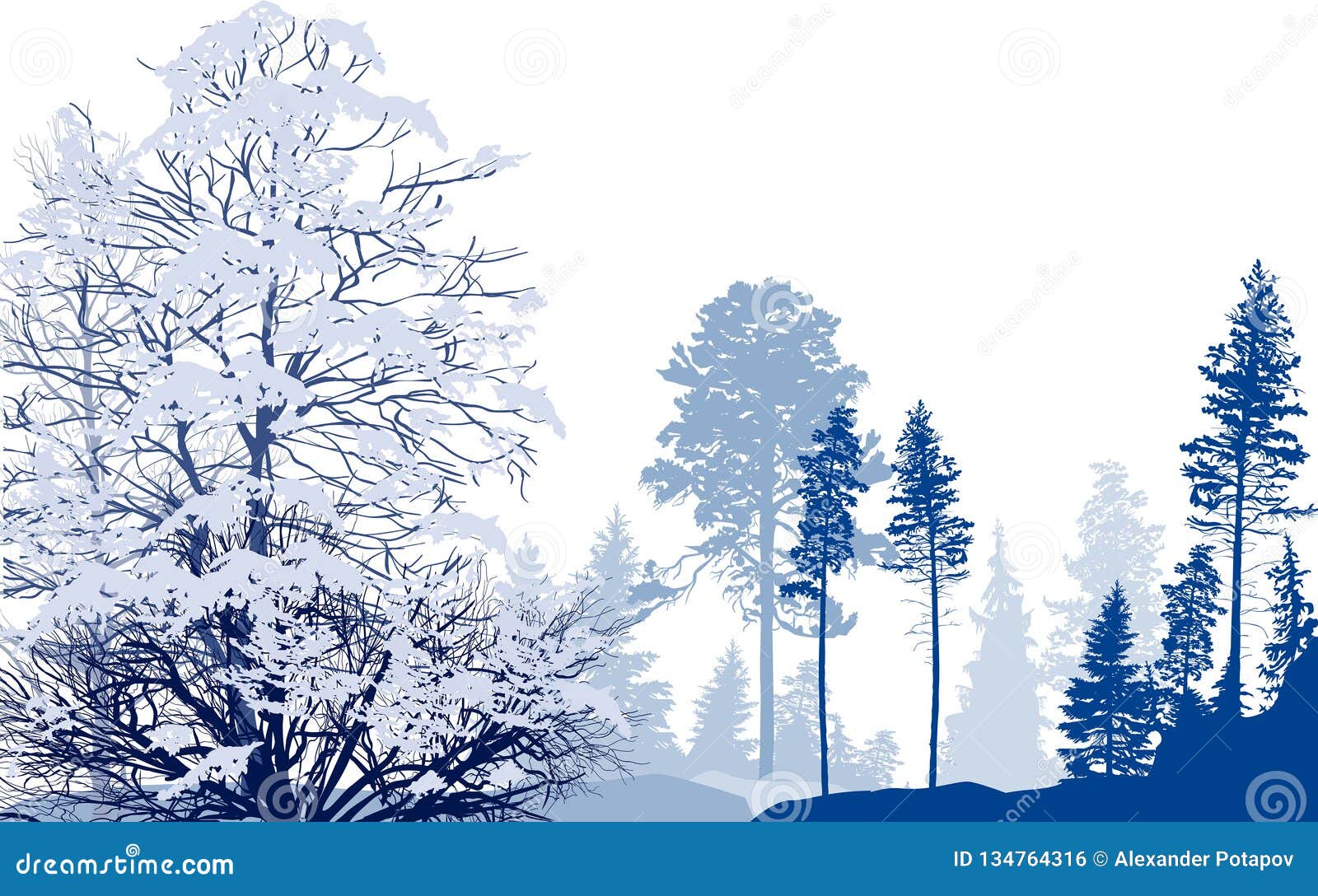 Trees in Snow Winter Forest Illustration Stock Vector - Illustration of ...