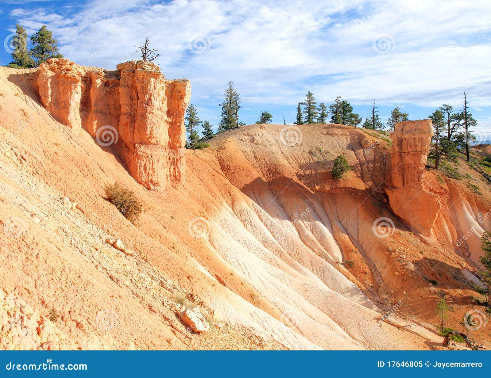 Trees and Spires stock image. Image of color, geography - 17646805