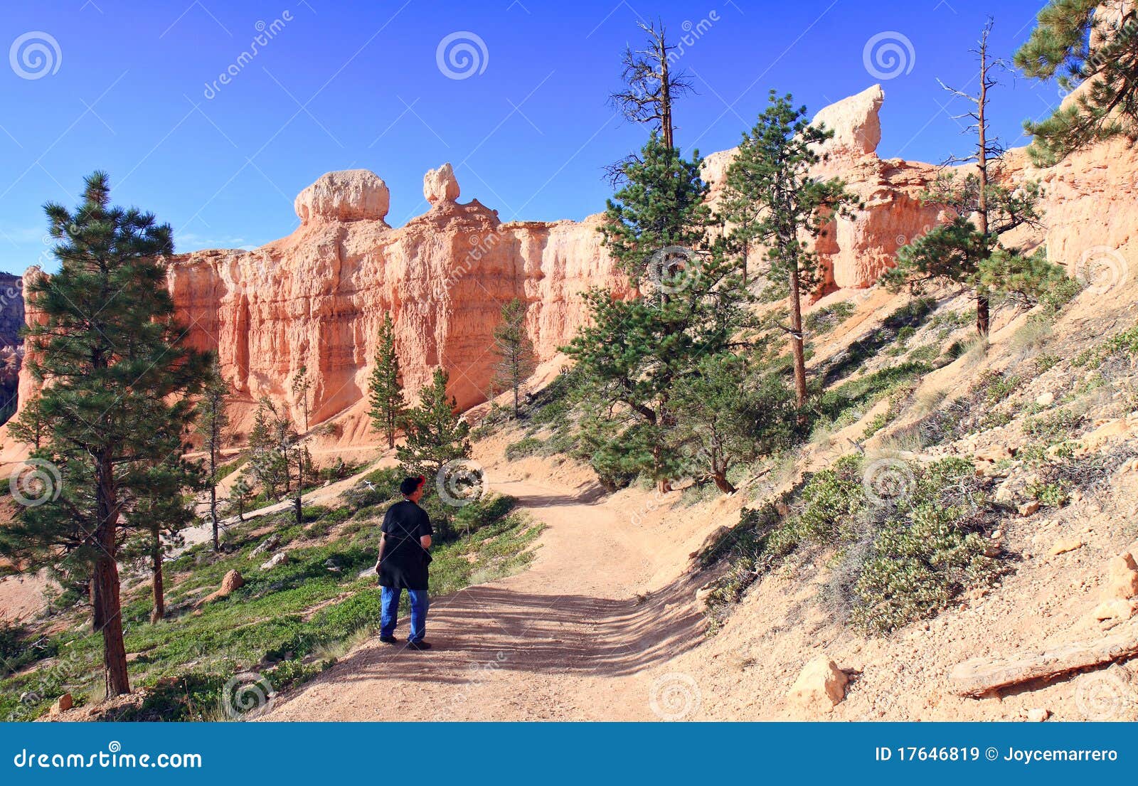 Trees and Spires stock image. Image of panoramic, beauty - 17646819