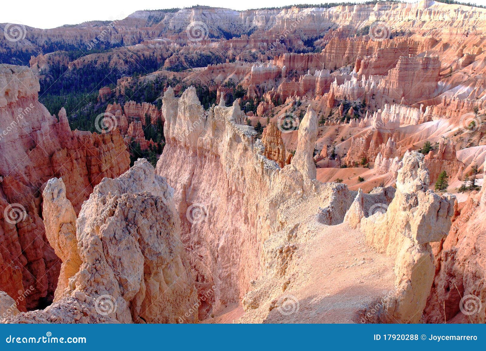 Trees and Spires stock photo. Image of cliff, panorama - 17920288