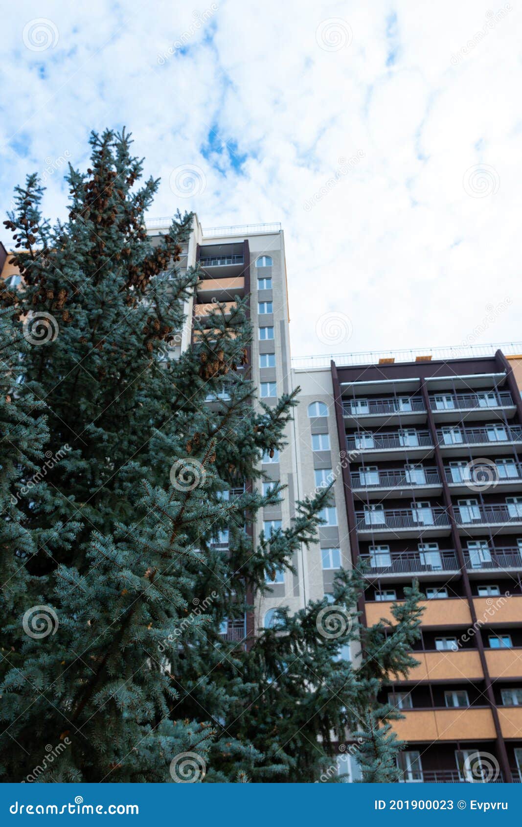Trees Standing in Front of a Multi-storey Building Stock Image - Image ...