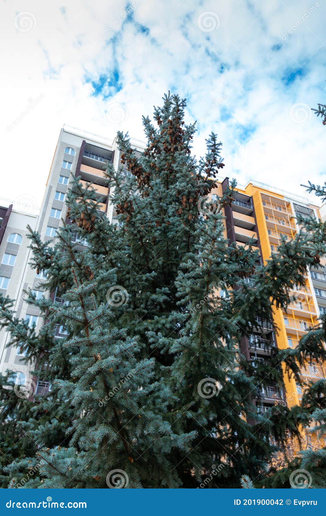 Trees Standing in Front of a Multi-storey Building Stock Photo - Image ...
