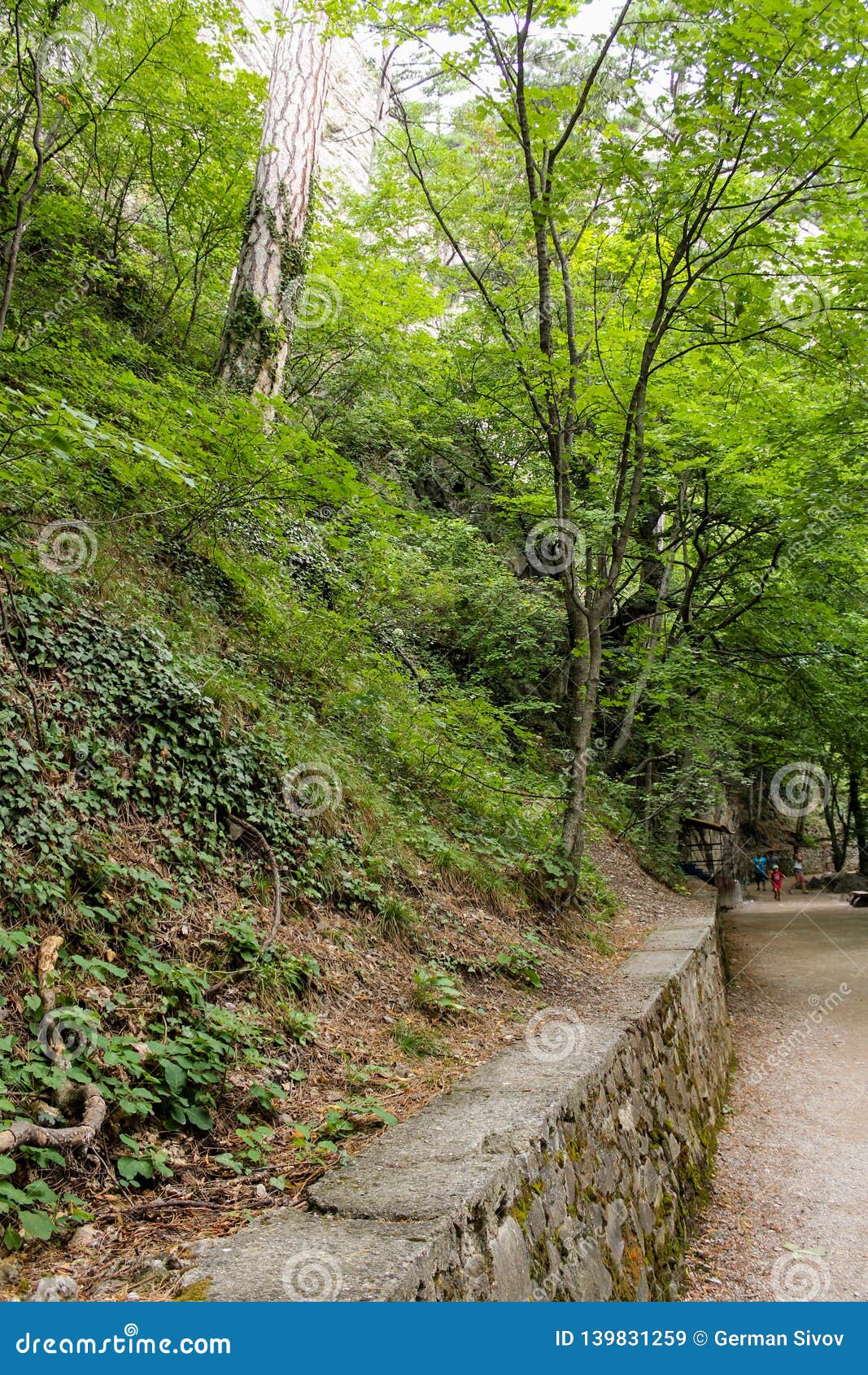Trees on steeper editorial stock image. Image of water - 139831259