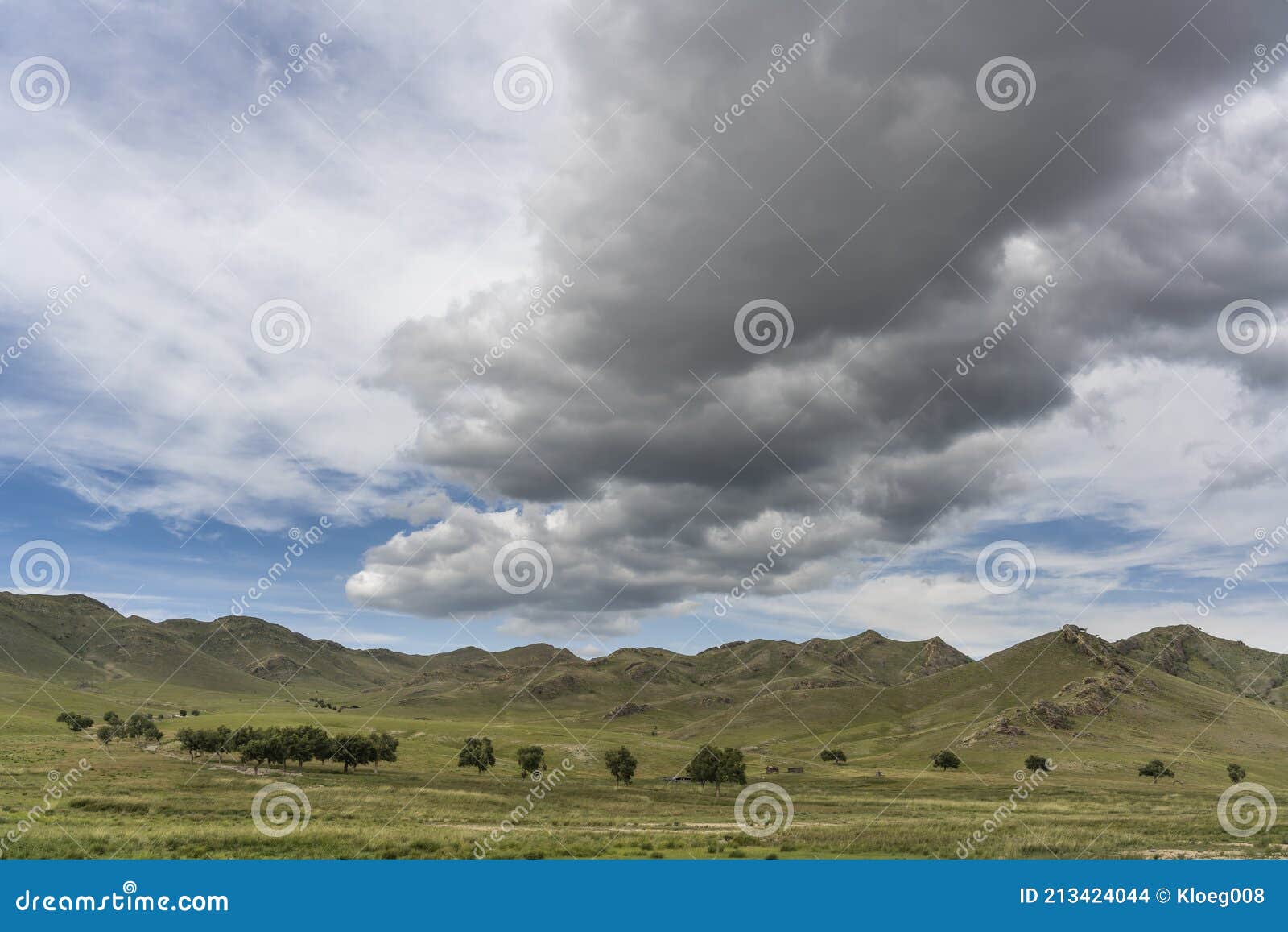 Trees in the Steppe in Mongolia Stock Photo - Image of trees, mongolian ...