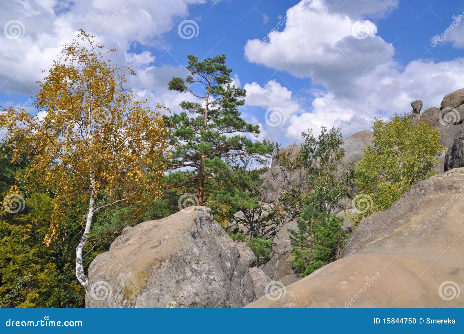 Trees on stones stock photo. Image of mountains, landscape - 15844750