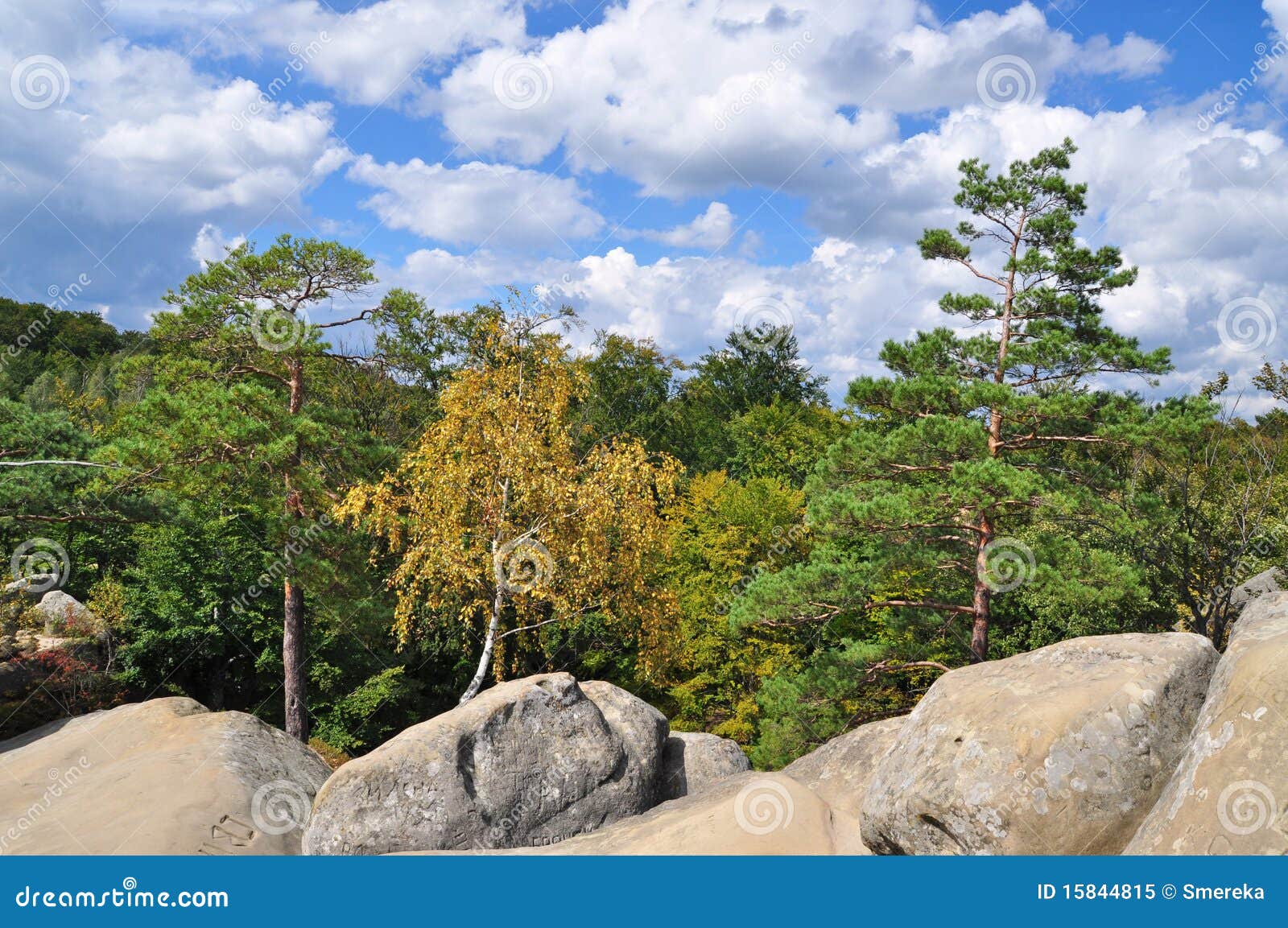Trees on stones stock image. Image of stone, nature, landscape - 15844815