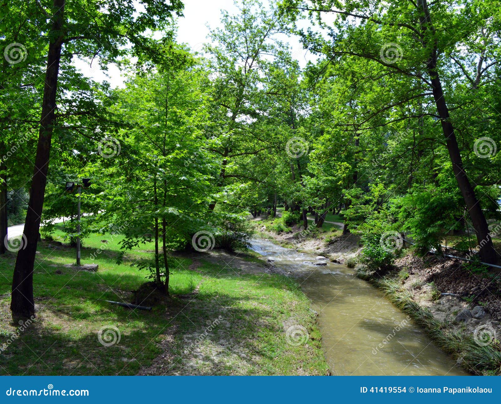 Trees and a stream stock photo. Image of leaves, stream - 41419554