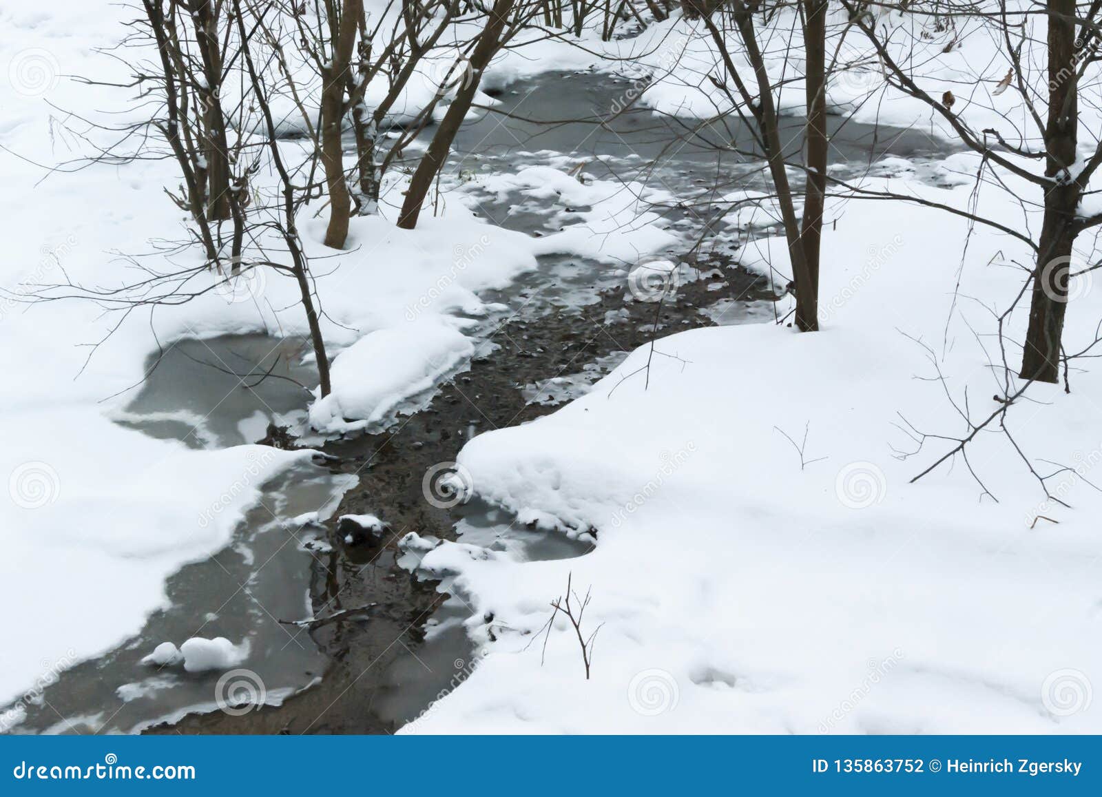 Trees by the Stream in Winter Stock Photo - Image of park, frozen ...