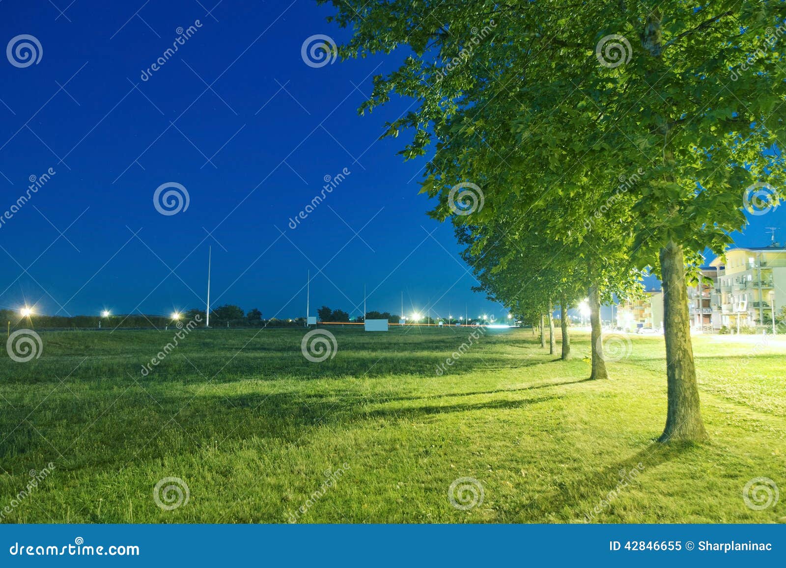 Trees by the Street at Night Stock Image - Image of lamp, lane: 42846655