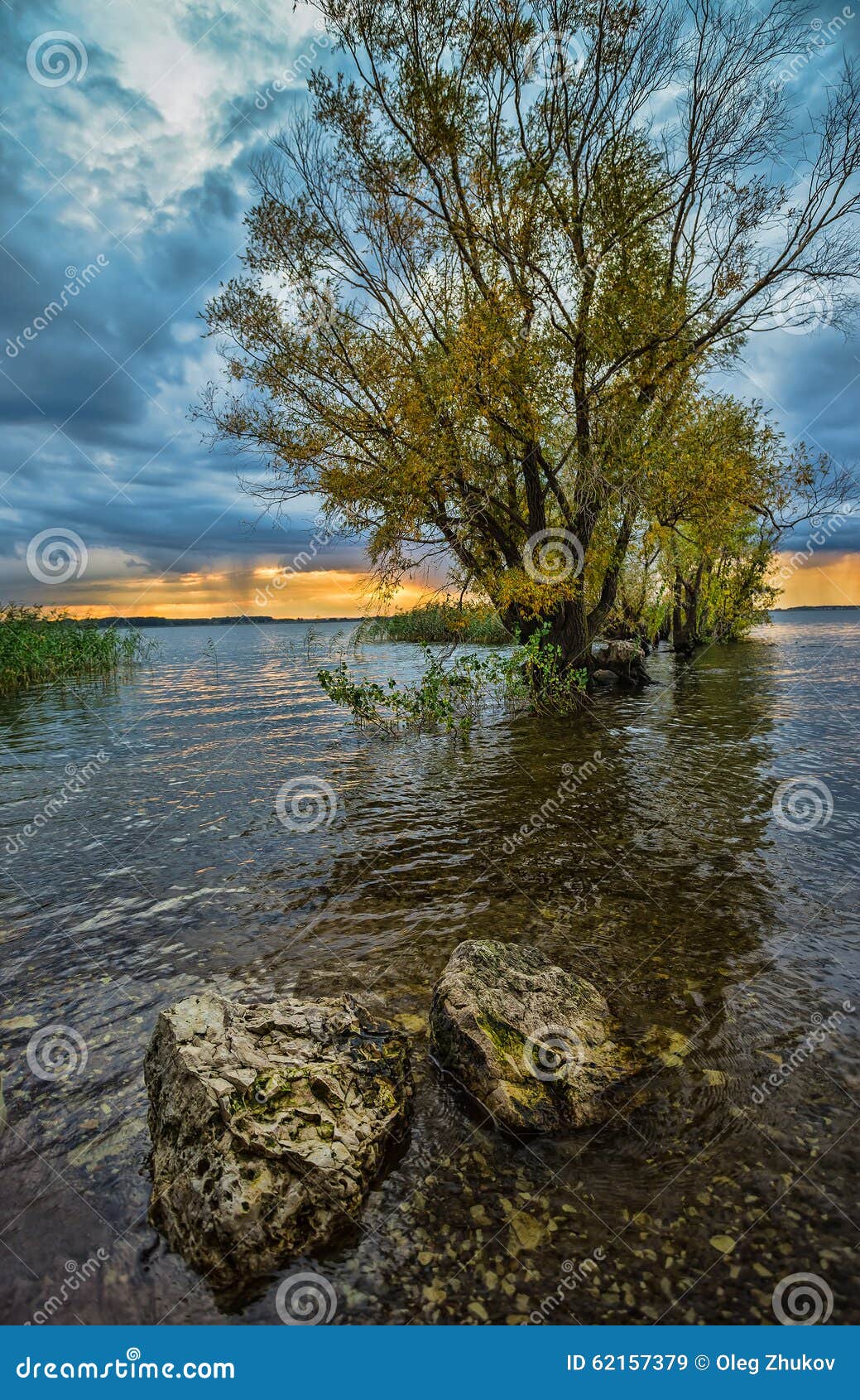 Trees at Sunser in the Fall Stock Image - Image of countryside, color ...