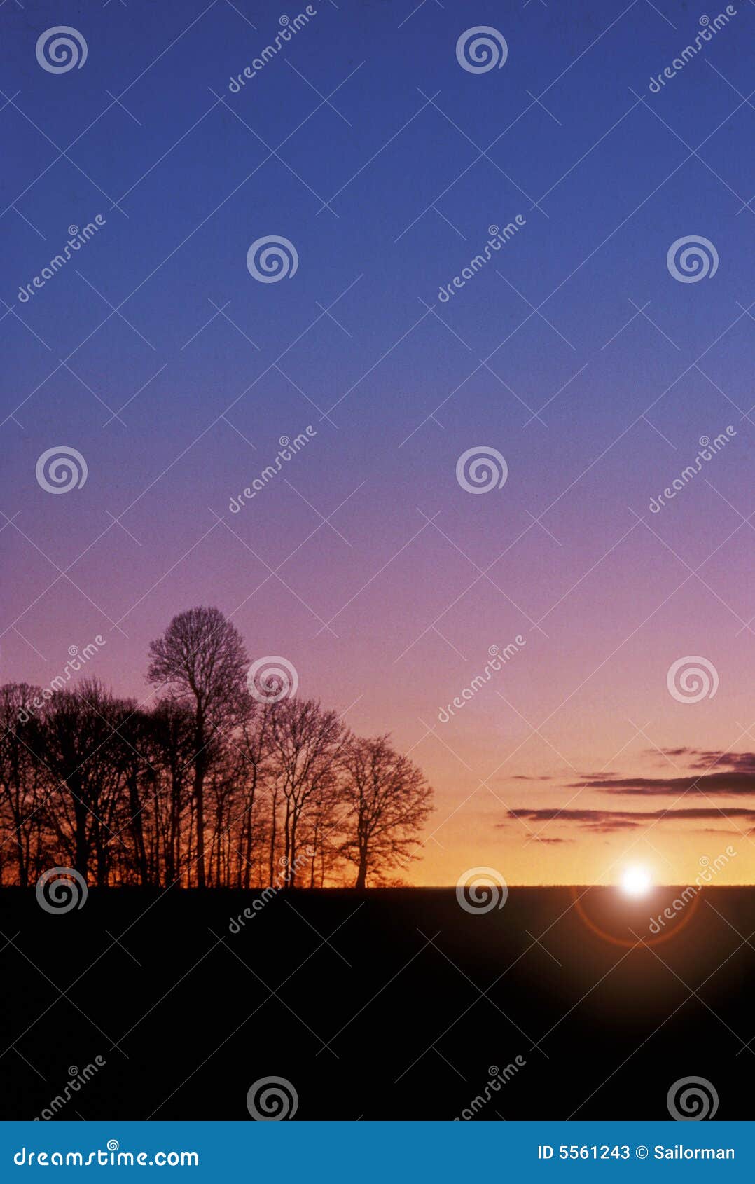 Trees at sunset stock image. Image of bare, hill, silouetted - 5561243