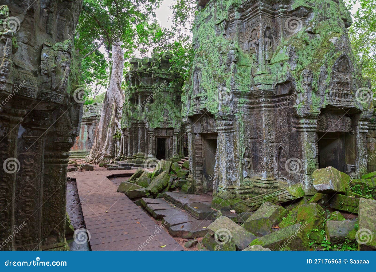 Trees in Ta Prohm, Angkor Wat Stock Image - Image of giant, beautiful ...
