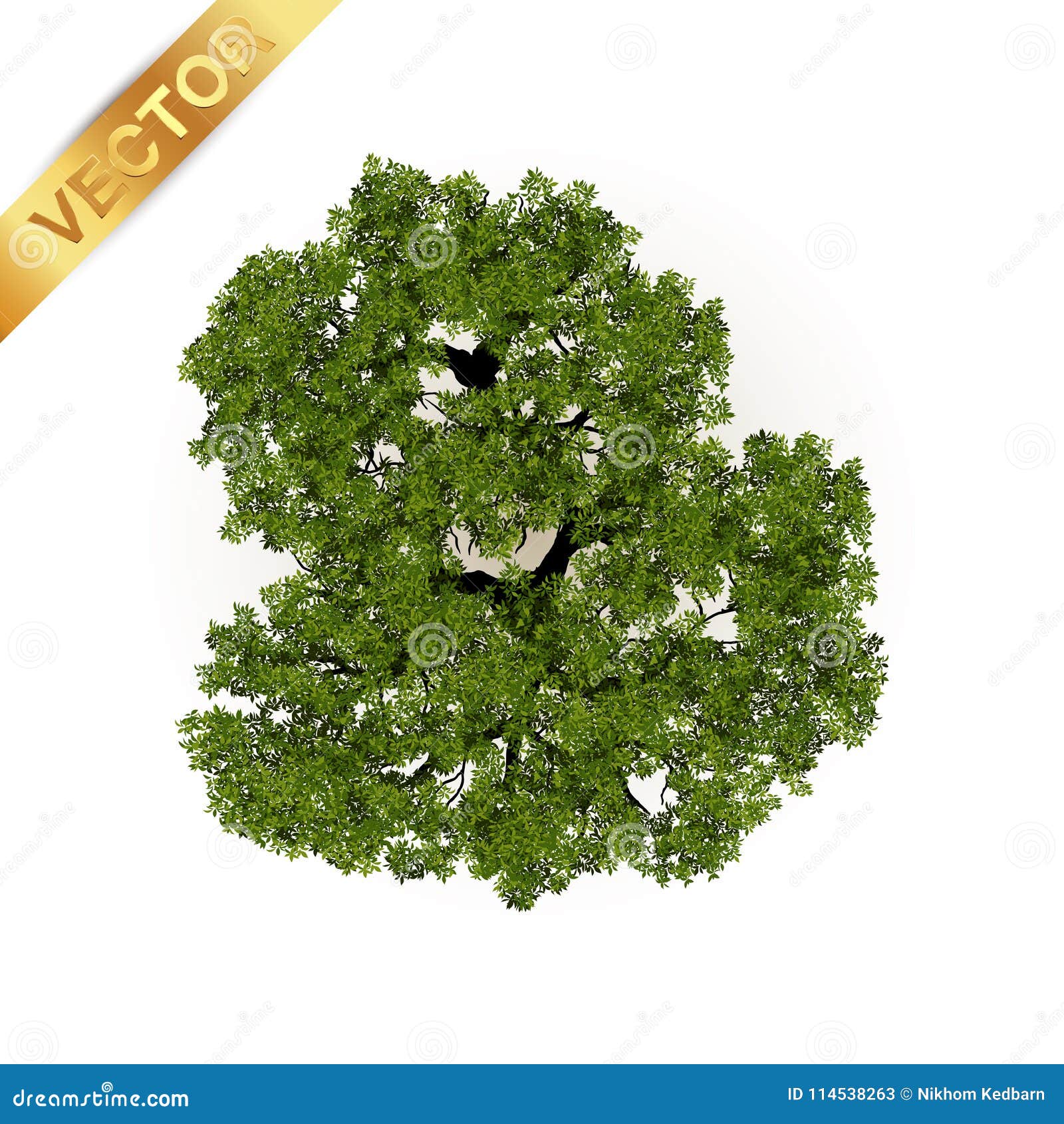 Tree Top View Vector