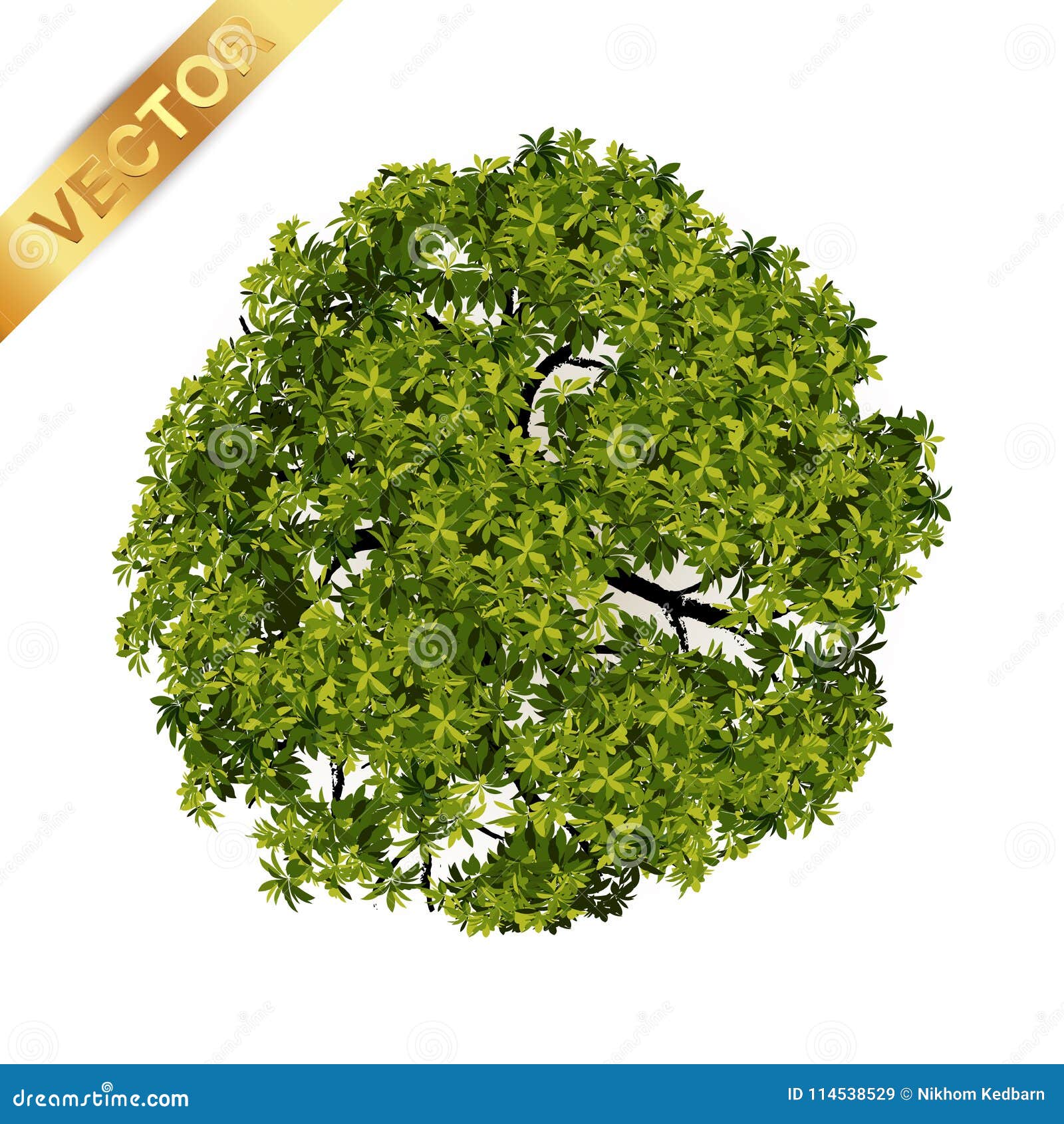Trees Top View.Different Trees, Plants Vector Set For Architectural Or ...