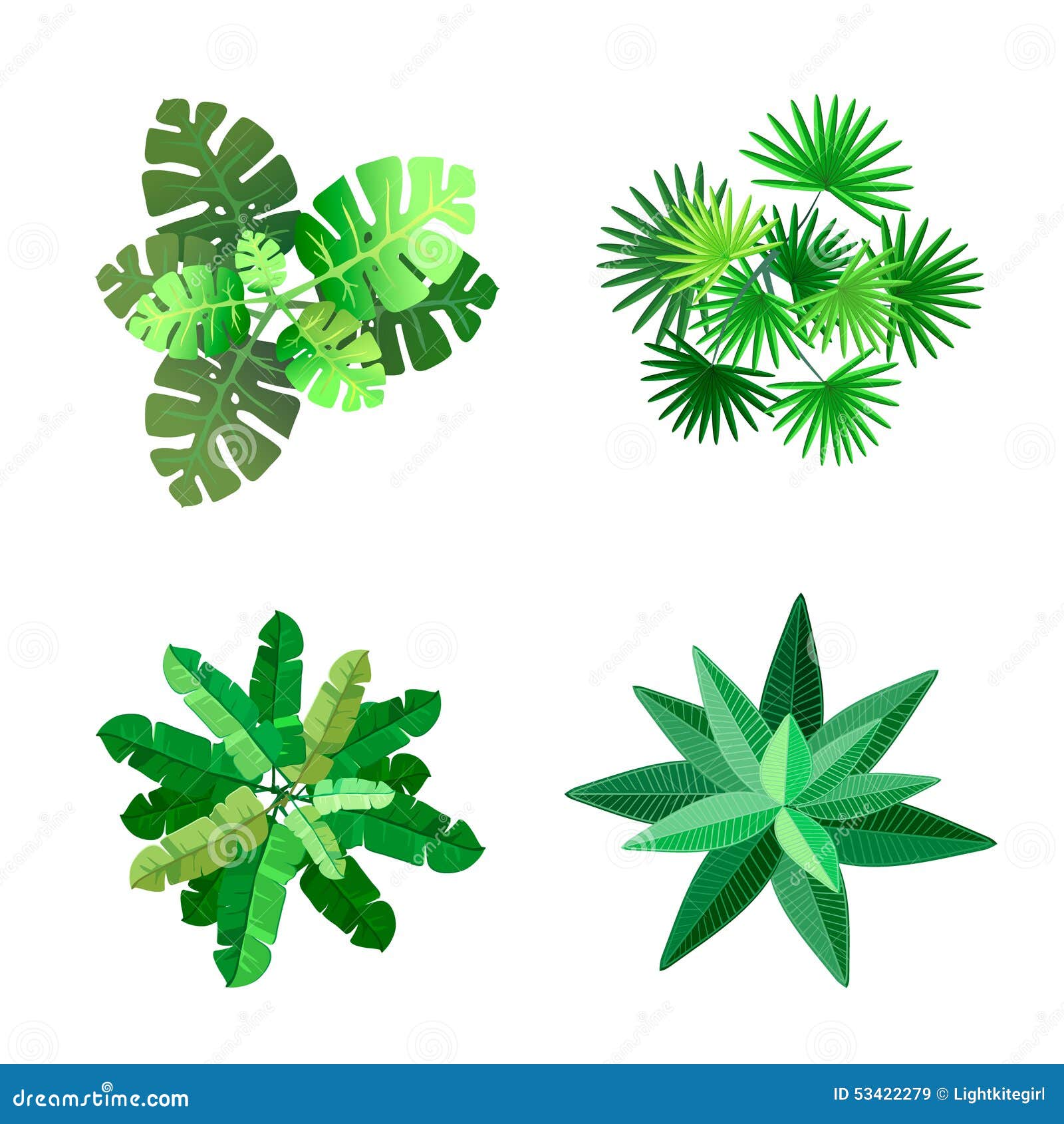 Trees Top View for Landscape Vector Illustration Stock Vector ...