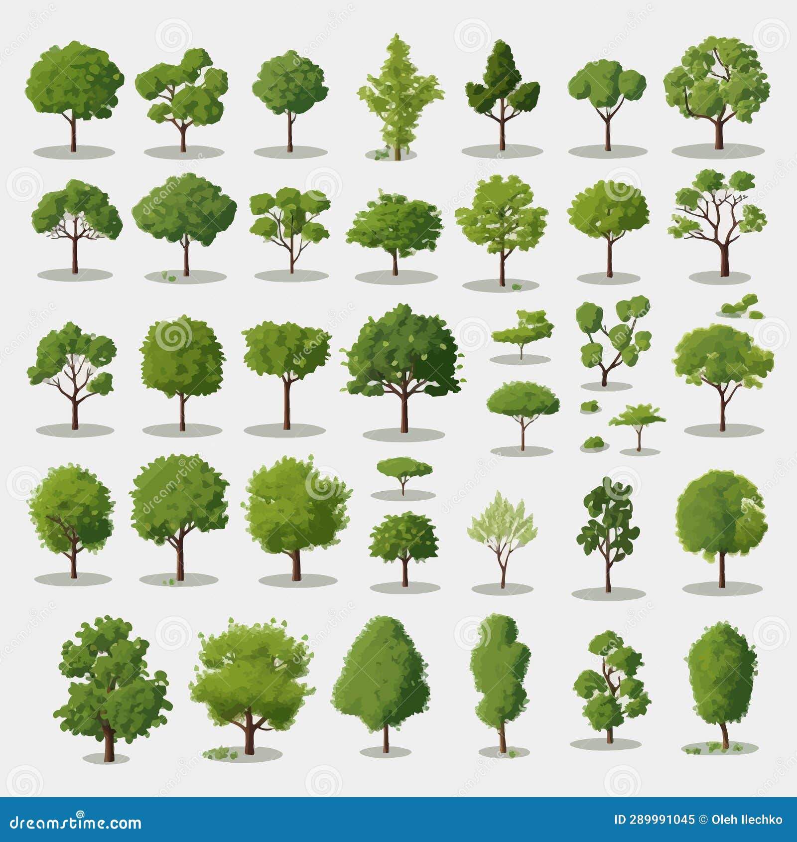 Trees Top View Set Vector Flat Minimalistic Isolated Illustration Stock ...