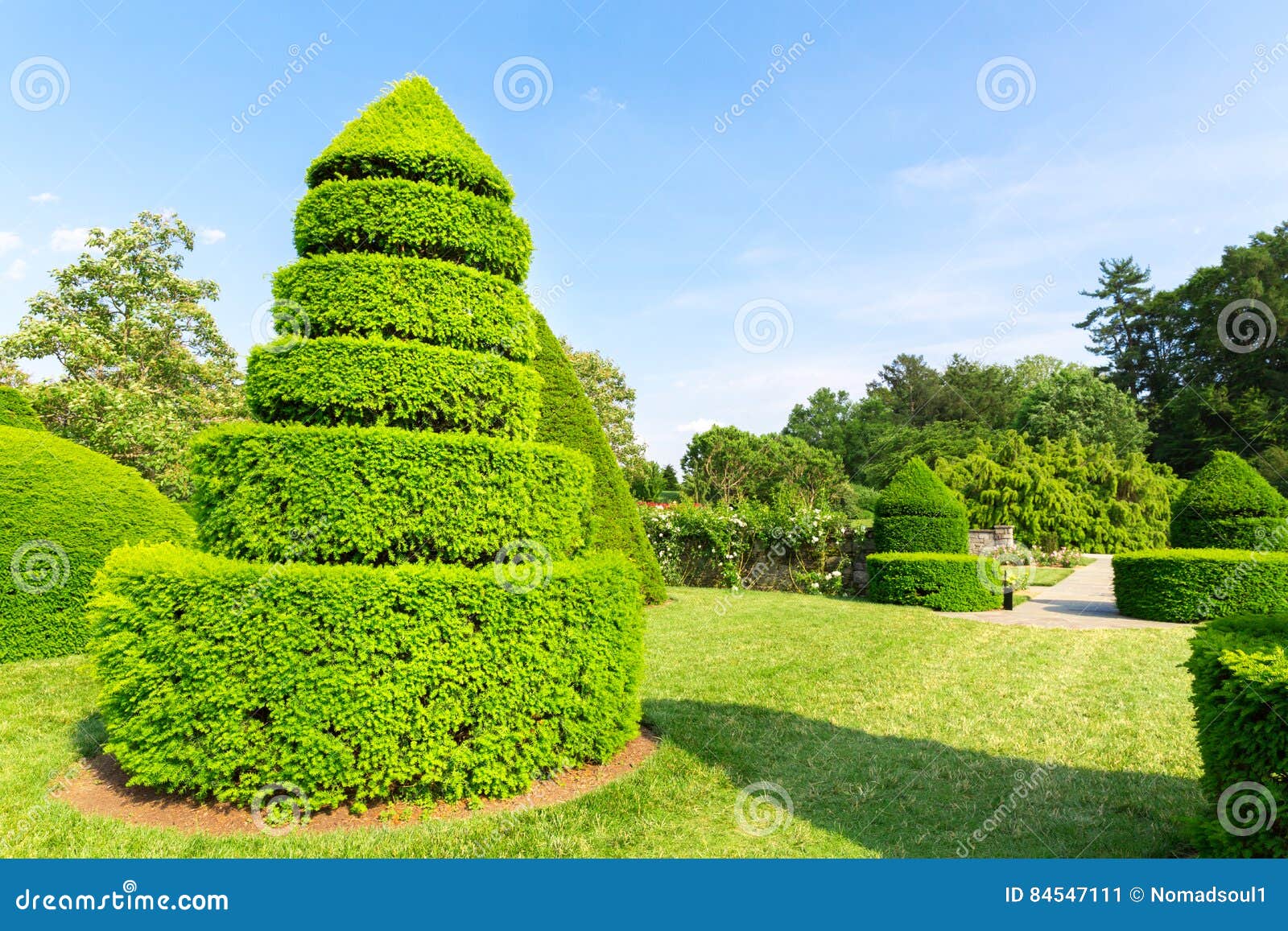 Trees Trimmed in the Shape of Pyramids Stock Image - Image of house ...